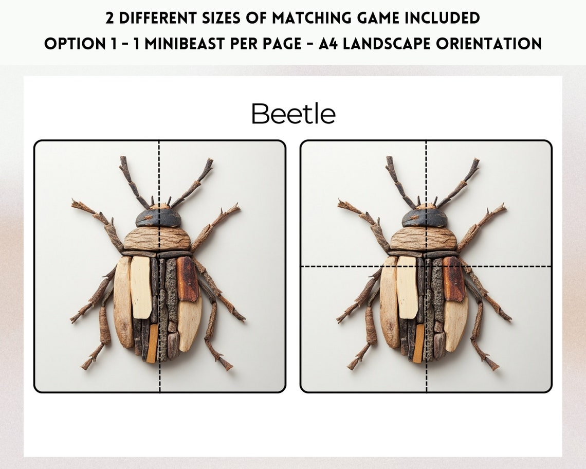 Minibeast Matching Game, Insect Matching Activity, Animal Matching ...