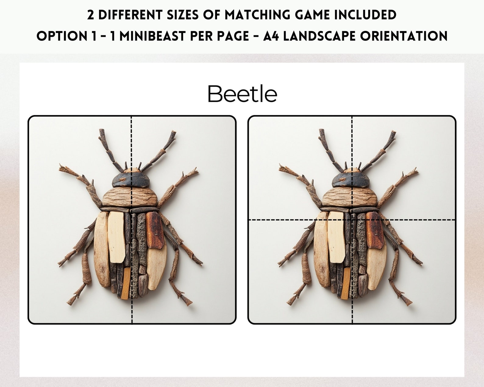 Minibeast Matching Game, Insect Matching Activity, Animal Matching ...