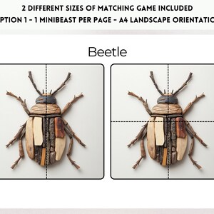 Minibeast Matching Game, Insect Matching Activity, Animal Matching ...