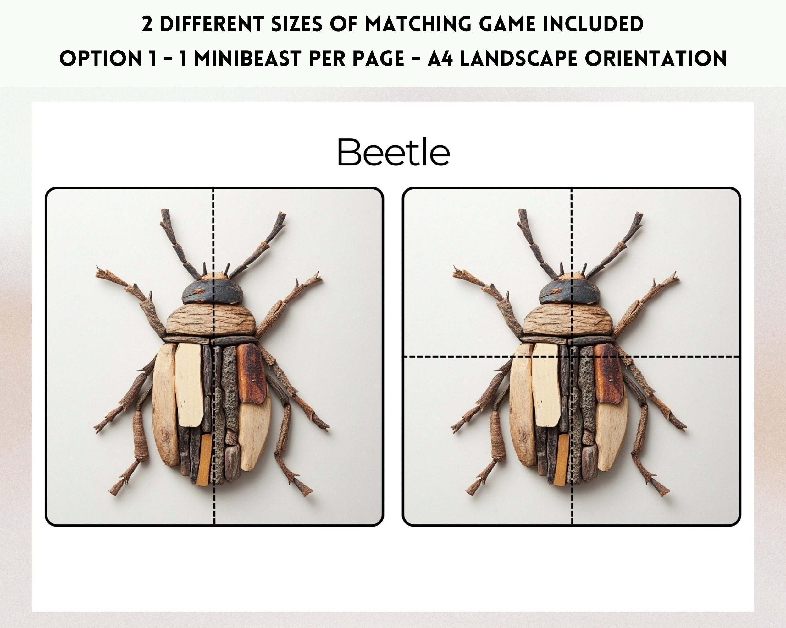 Minibeast Matching Game, Insect Matching Activity, Animal Matching ...
