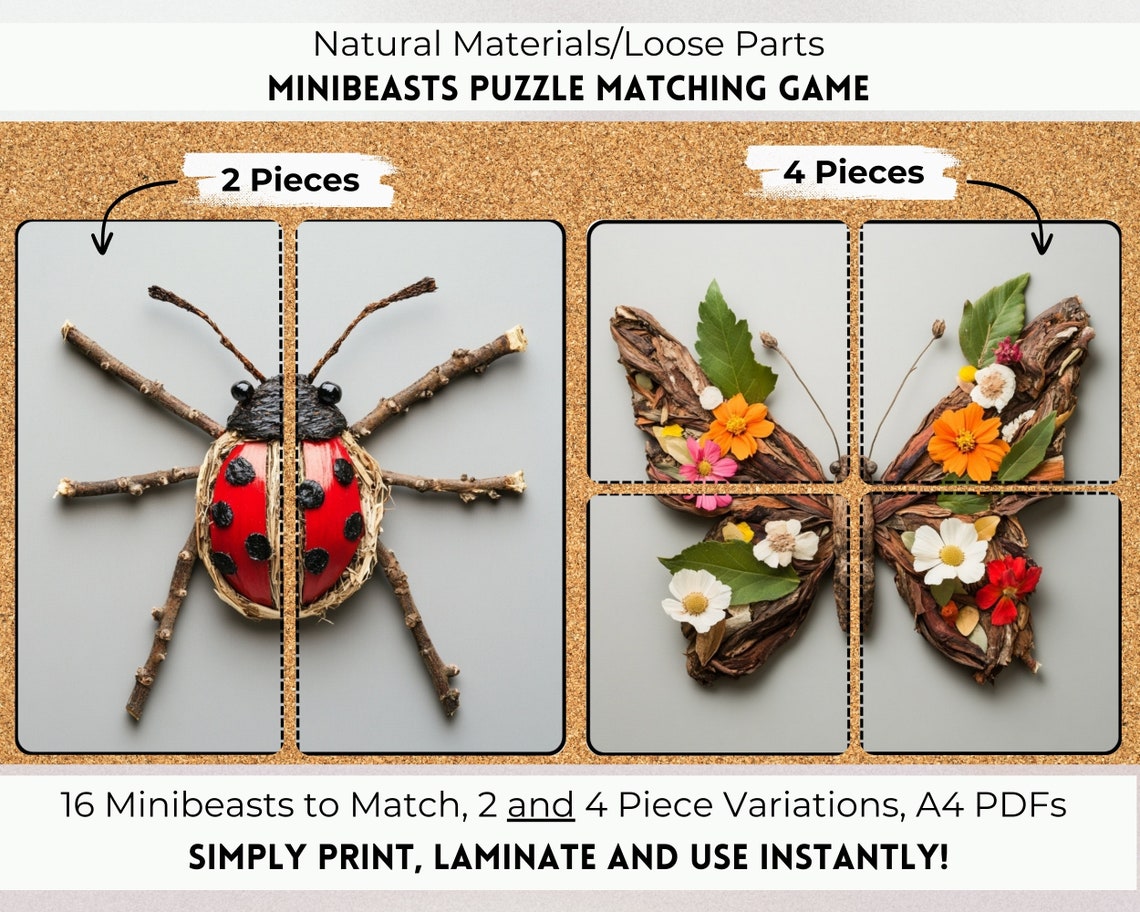 Minibeast Matching Game, Insect Matching Activity, Animal Matching ...