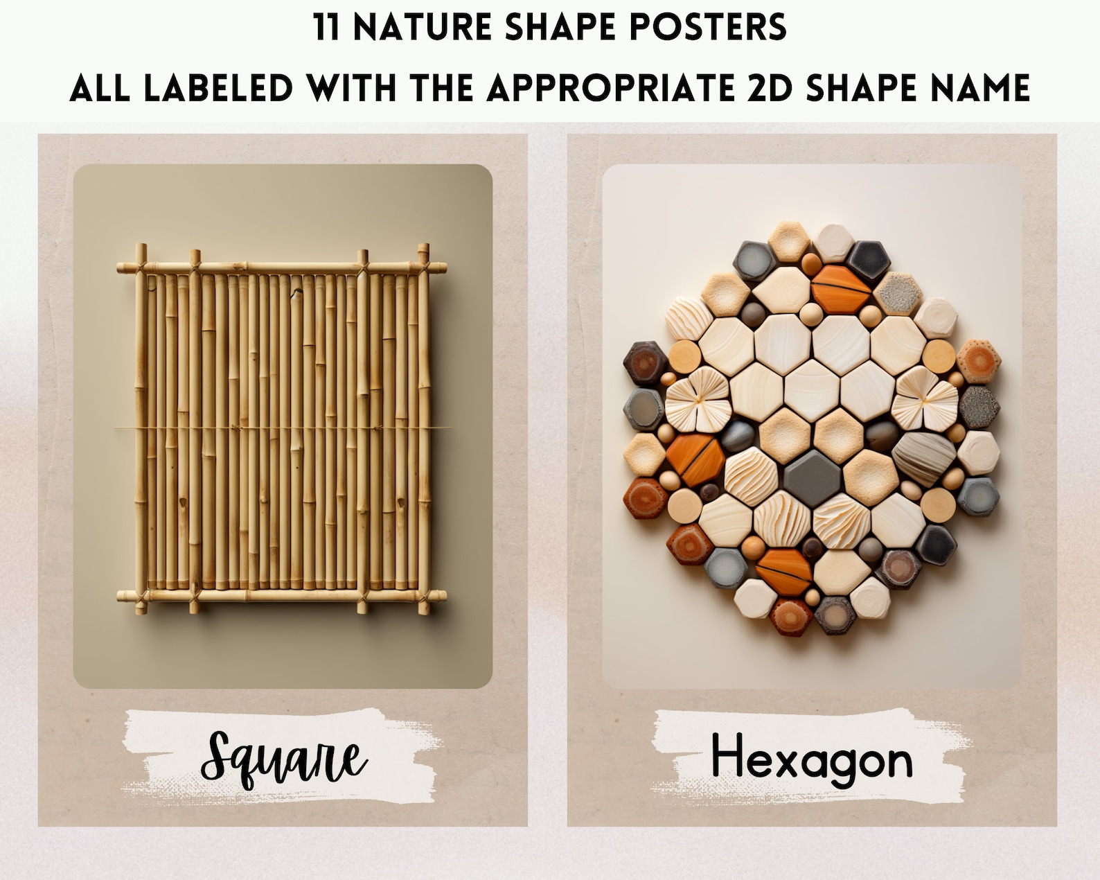 Nature Shape Posters, Nature Shape Photo Cards, 2D Shape Mathematics ...