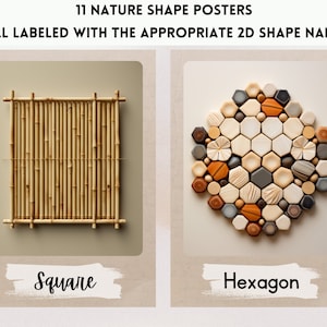 Nature Shape Posters, Nature Shape Photo Cards, 2D Shape Mathematics ...