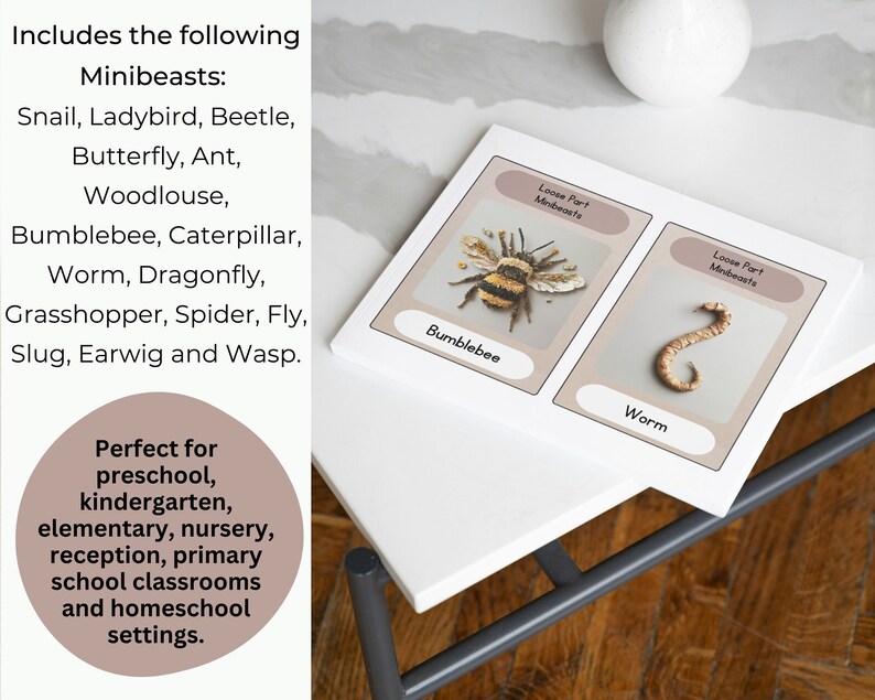 Loose Parts Minibeast Provocations and Vocabulary Photo Cards, Reggio ...