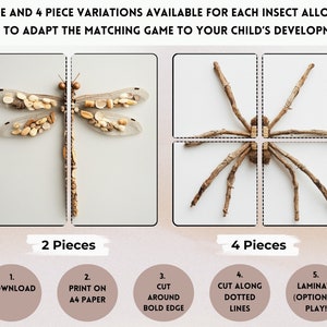 Minibeast Matching Game, Insect Matching Activity, Animal Matching ...