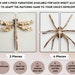 Minibeast Matching Game, Insect Matching Activity, Animal Matching ...