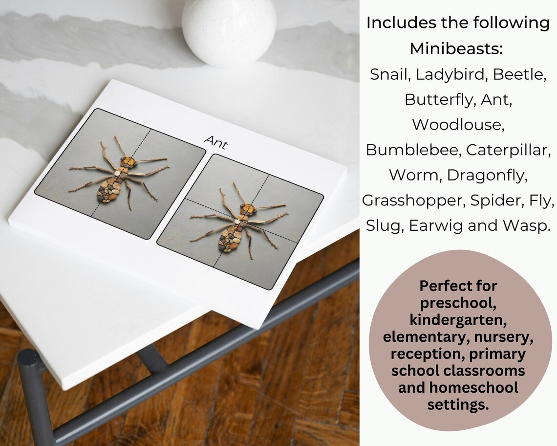Minibeast Matching Game, Insect Matching Activity, Animal Matching ...