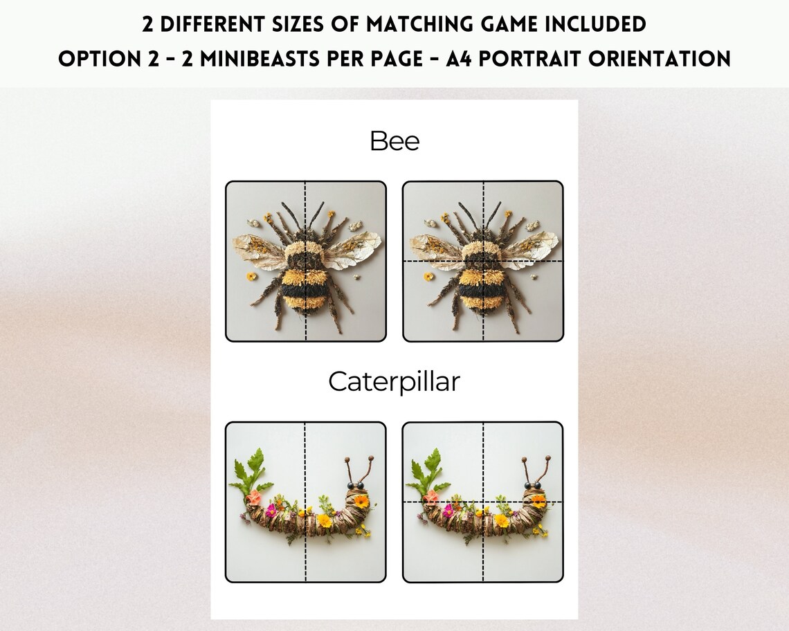 Minibeast Matching Game, Insect Matching Activity, Animal Matching ...