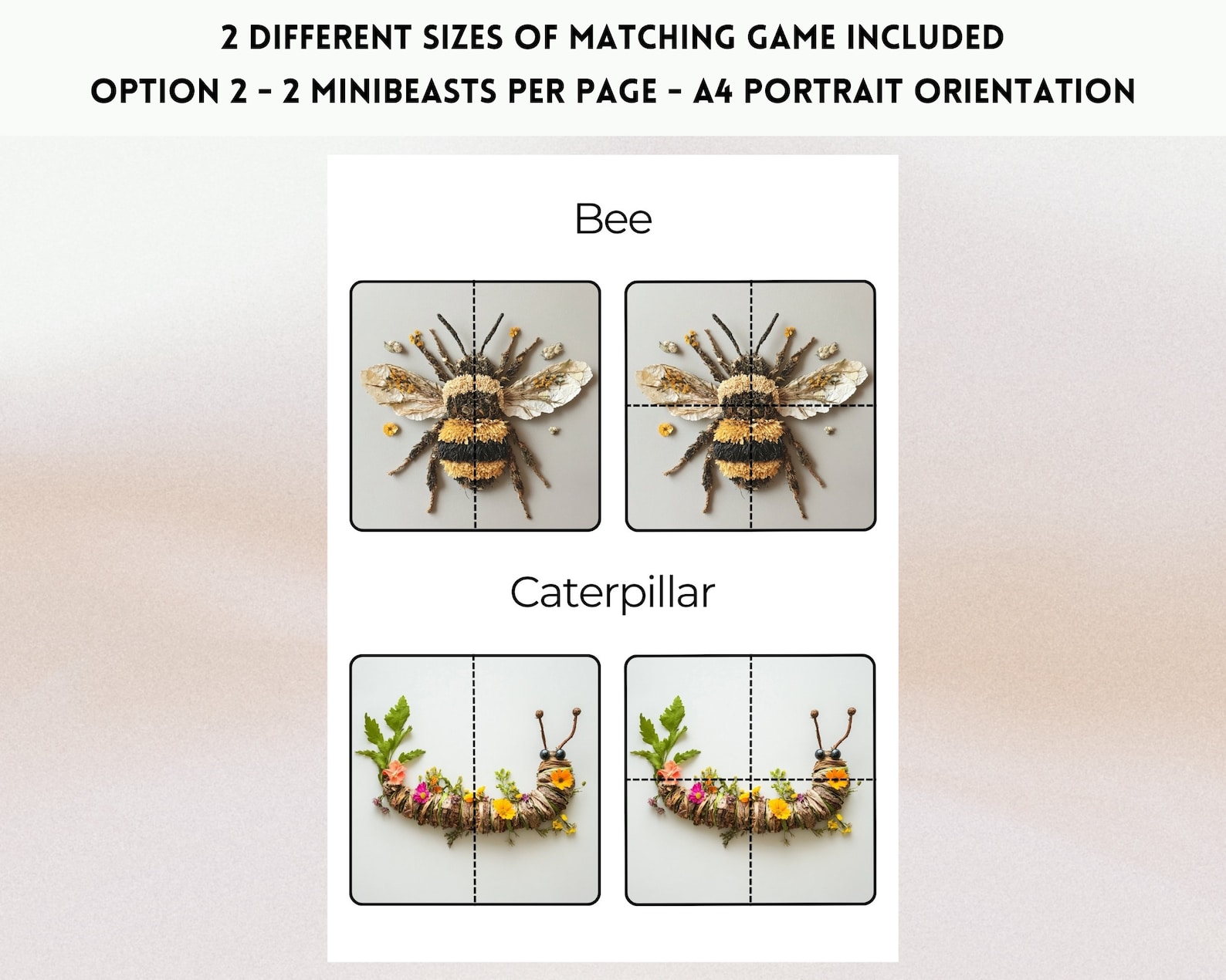 Minibeast Matching Game, Insect Matching Activity, Animal Matching ...