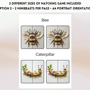 Minibeast Matching Game, Insect Matching Activity, Animal Matching ...