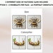 Minibeast Matching Game, Insect Matching Activity, Animal Matching ...