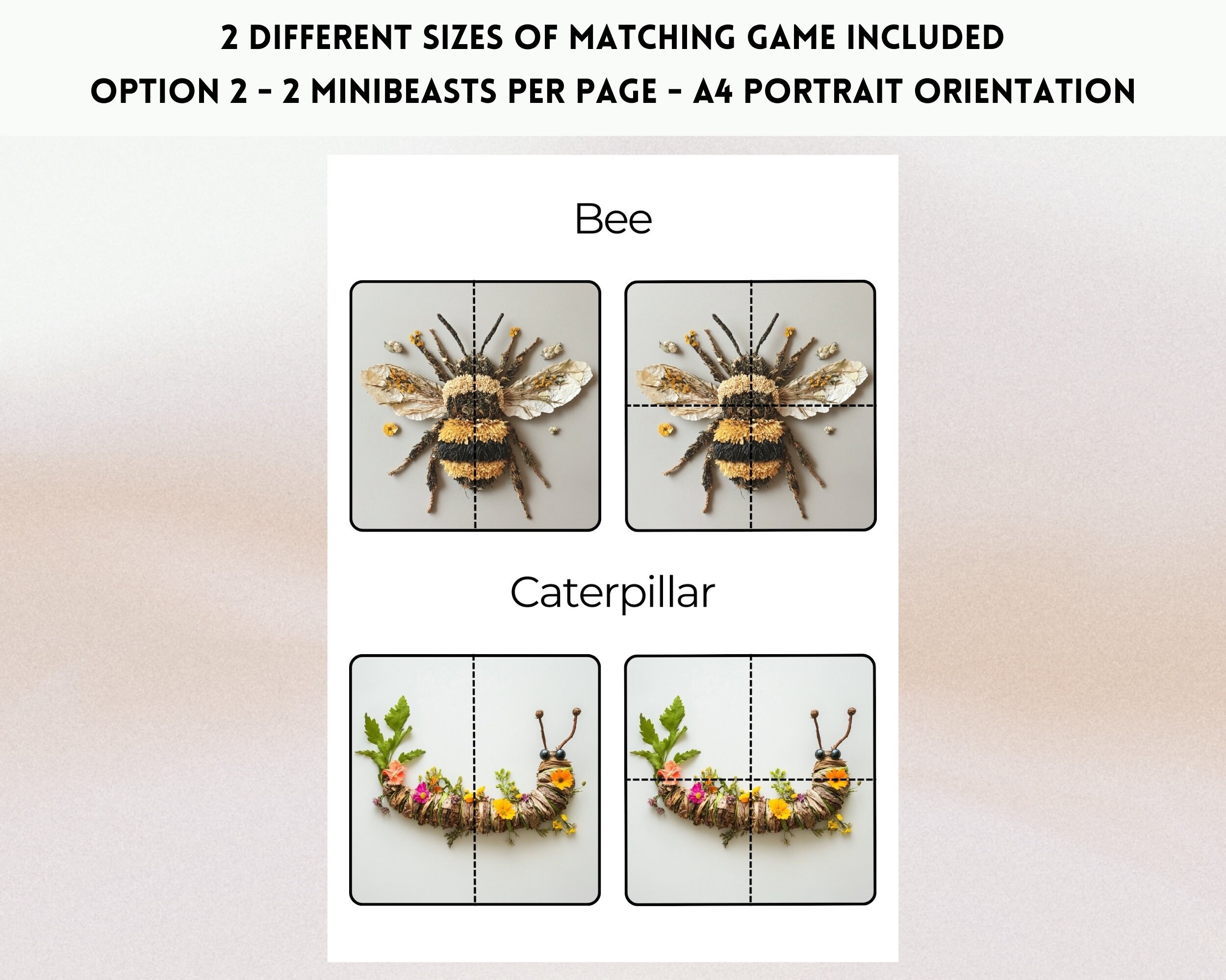 Minibeast Matching Game, Insect Matching Activity, Animal Matching ...