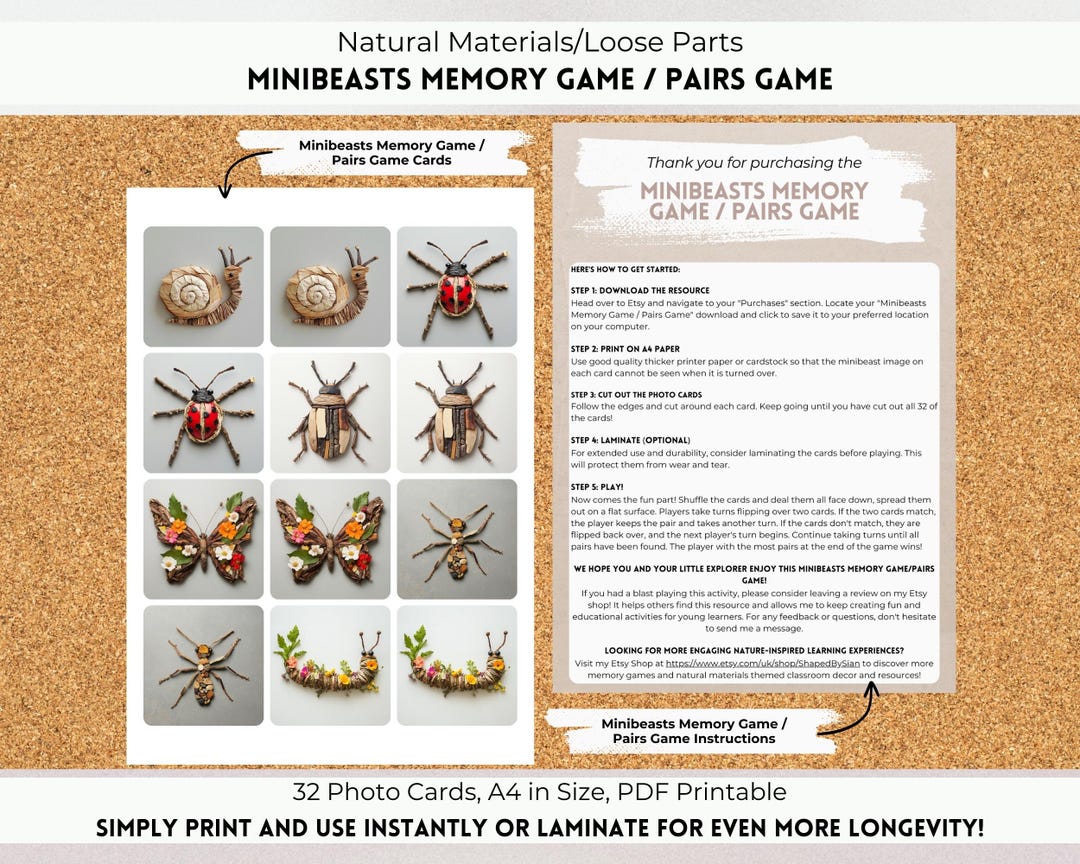 Minibeast Memory Match Game for Kids, Insects Pairs Game, Bugs Matching ...