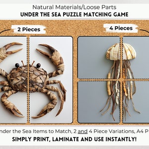 Under the Sea Matching Game, Sea Creature Ocean Matching Activity ...