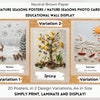 Four Seasons Poster for Kids, Montessori Seasons Chart, Educational ...