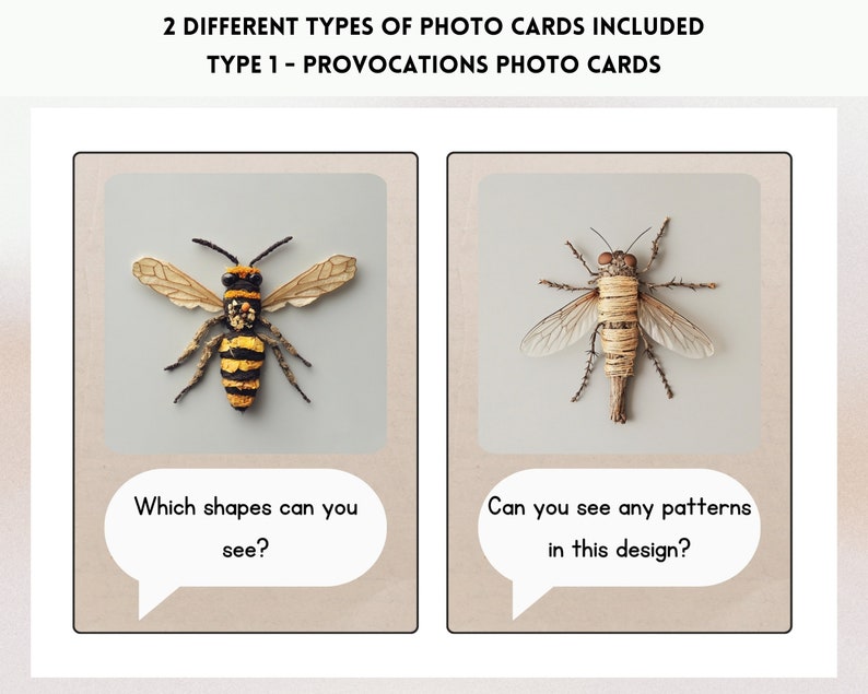 Loose Parts Minibeast Provocations and Vocabulary Photo Cards, Reggio ...