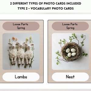 Loose Parts Spring Provocations and Vocabulary Photo Cards, Reggio ...