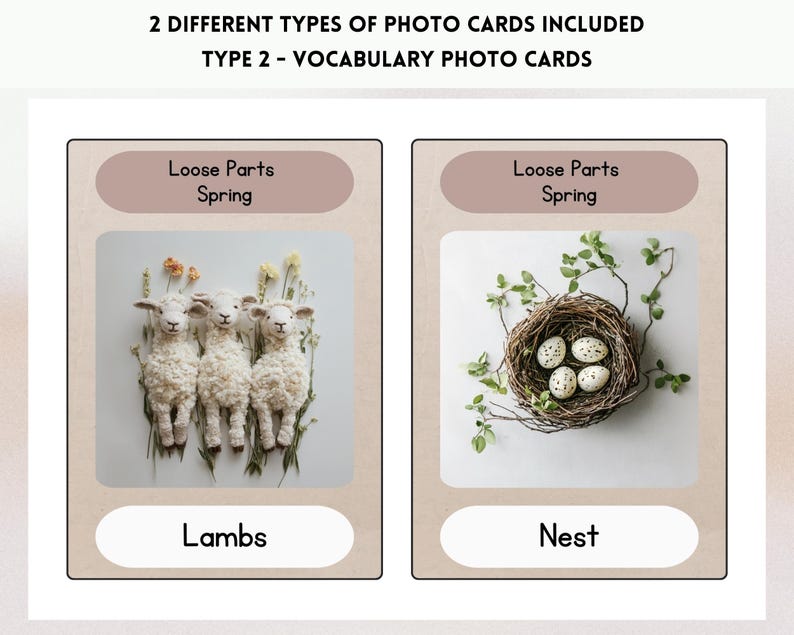 Loose Parts Spring Provocations and Vocabulary Photo Cards, Reggio ...