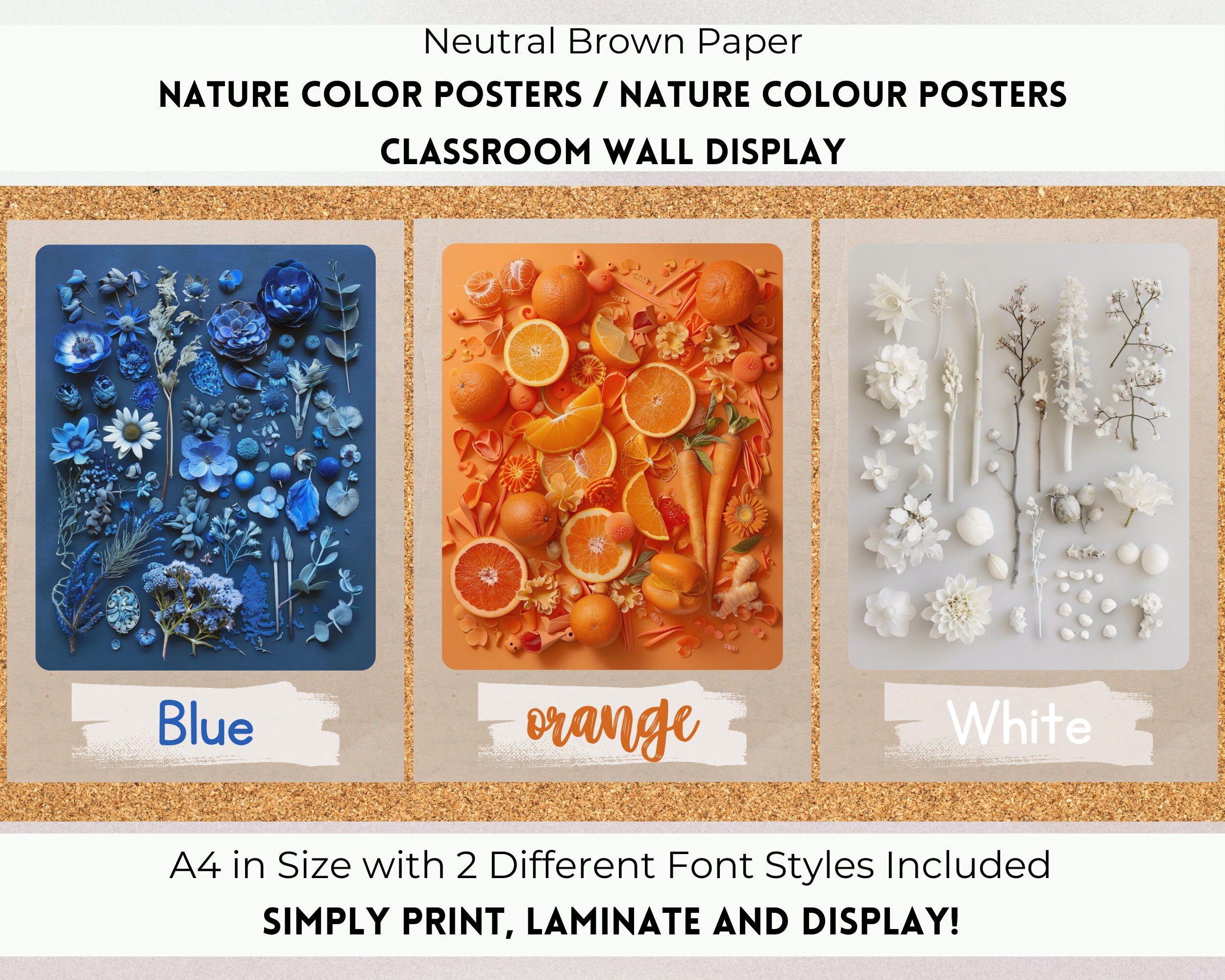 Nature Color Chart Poster, Classroom Colour Posters, Nature Color Photo ...