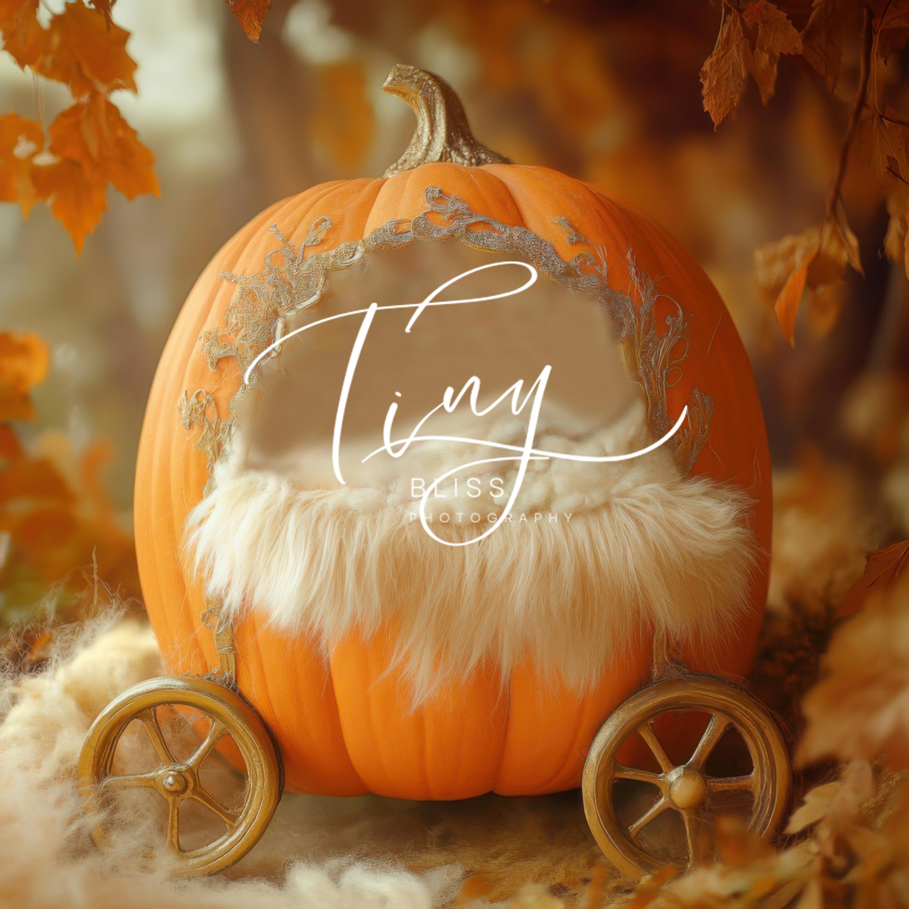 Fall Newborn Digital Background, Baby Carriage , Autumn Toned, Fall ...