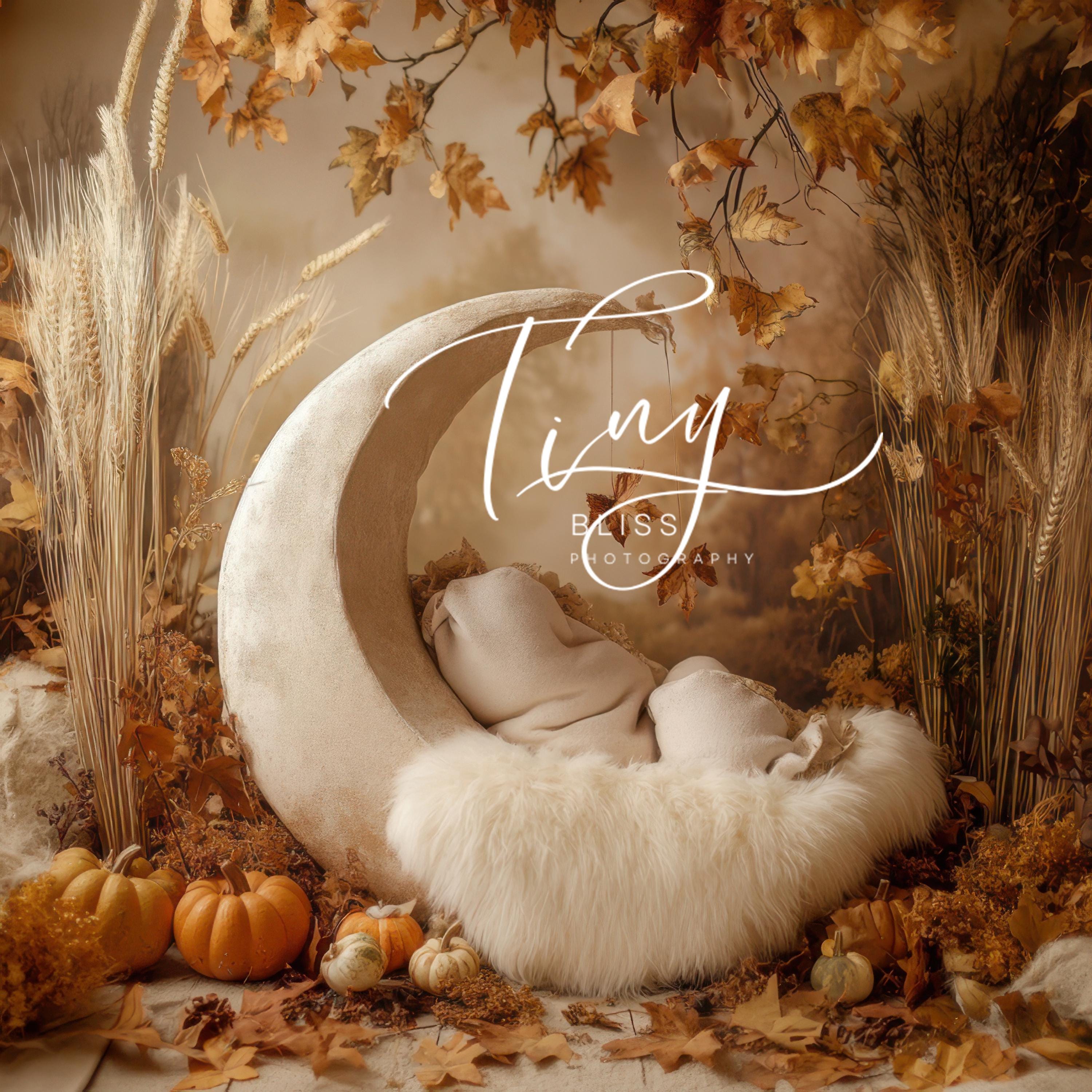 Fall Newborn Digital Background, Half Moon Newborn Prop , Autumn Toned ...