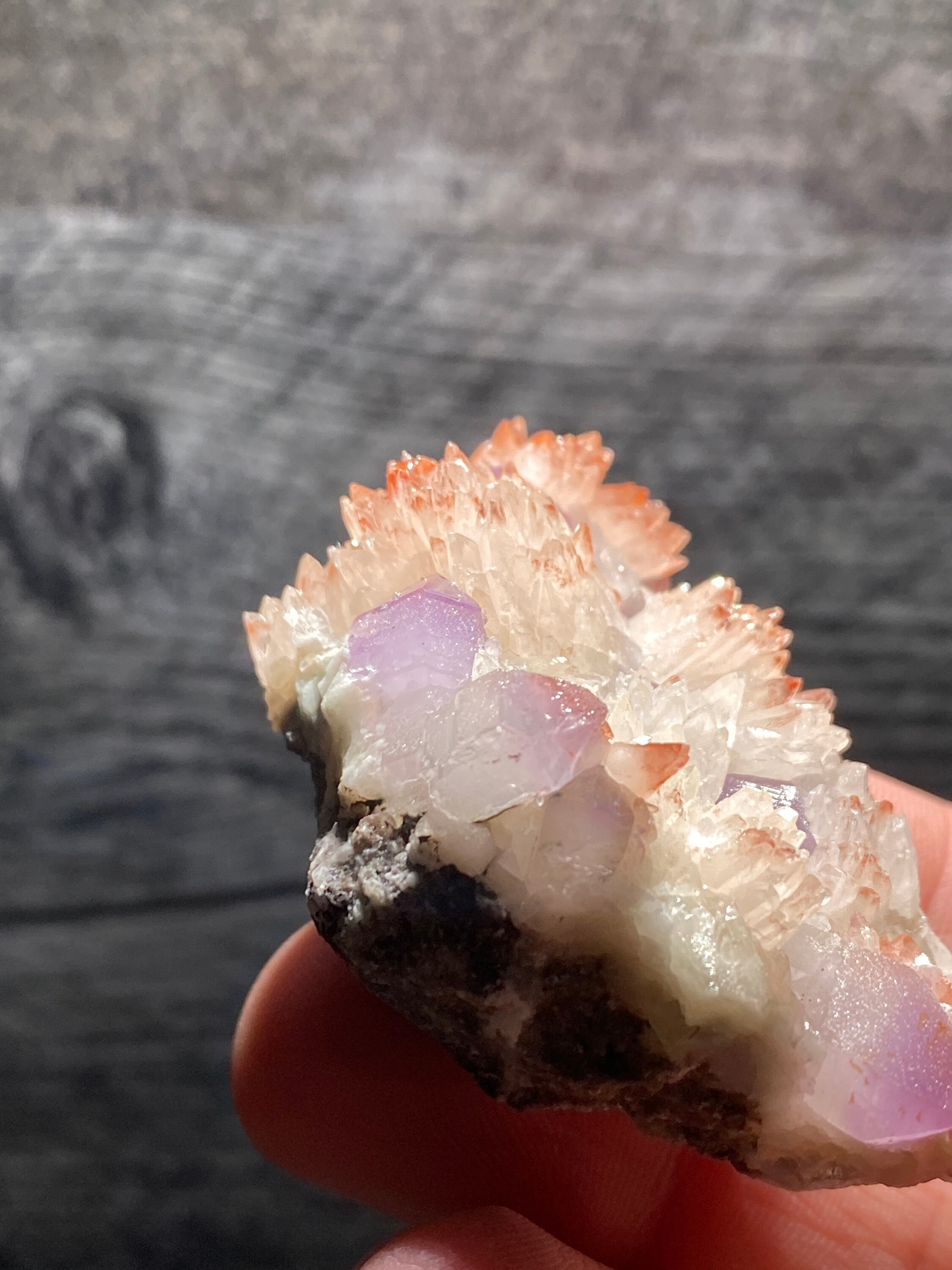 RARE Red Sugar Dragon Scale Calcite Crystal Clusters With | Etsy