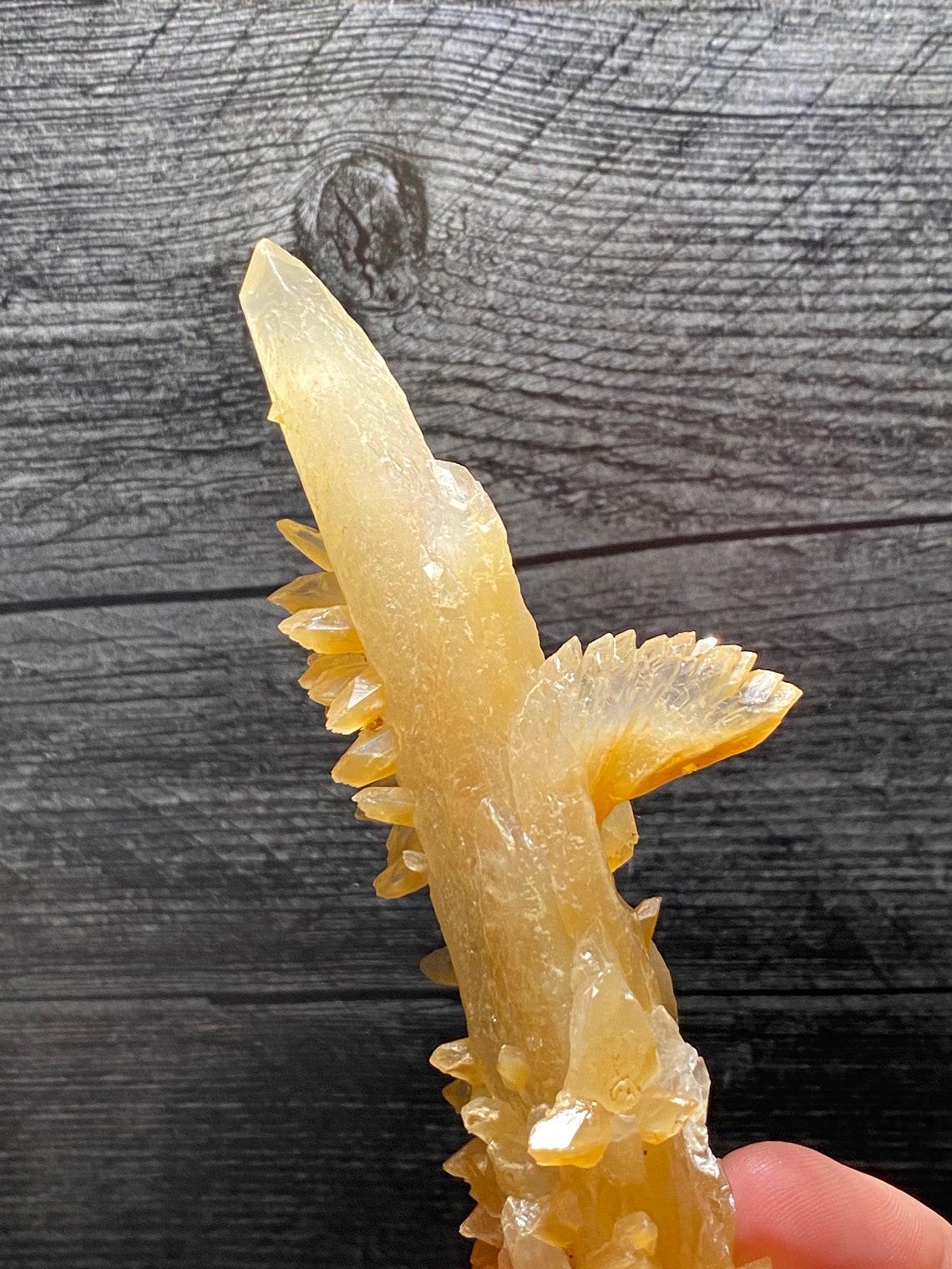 EPIC Stunning Calcite the Wing Dogtooth Feather | Etsy