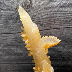 EPIC Stunning Calcite "the Wing" Dogtooth Feather Like Orange Yellow ...