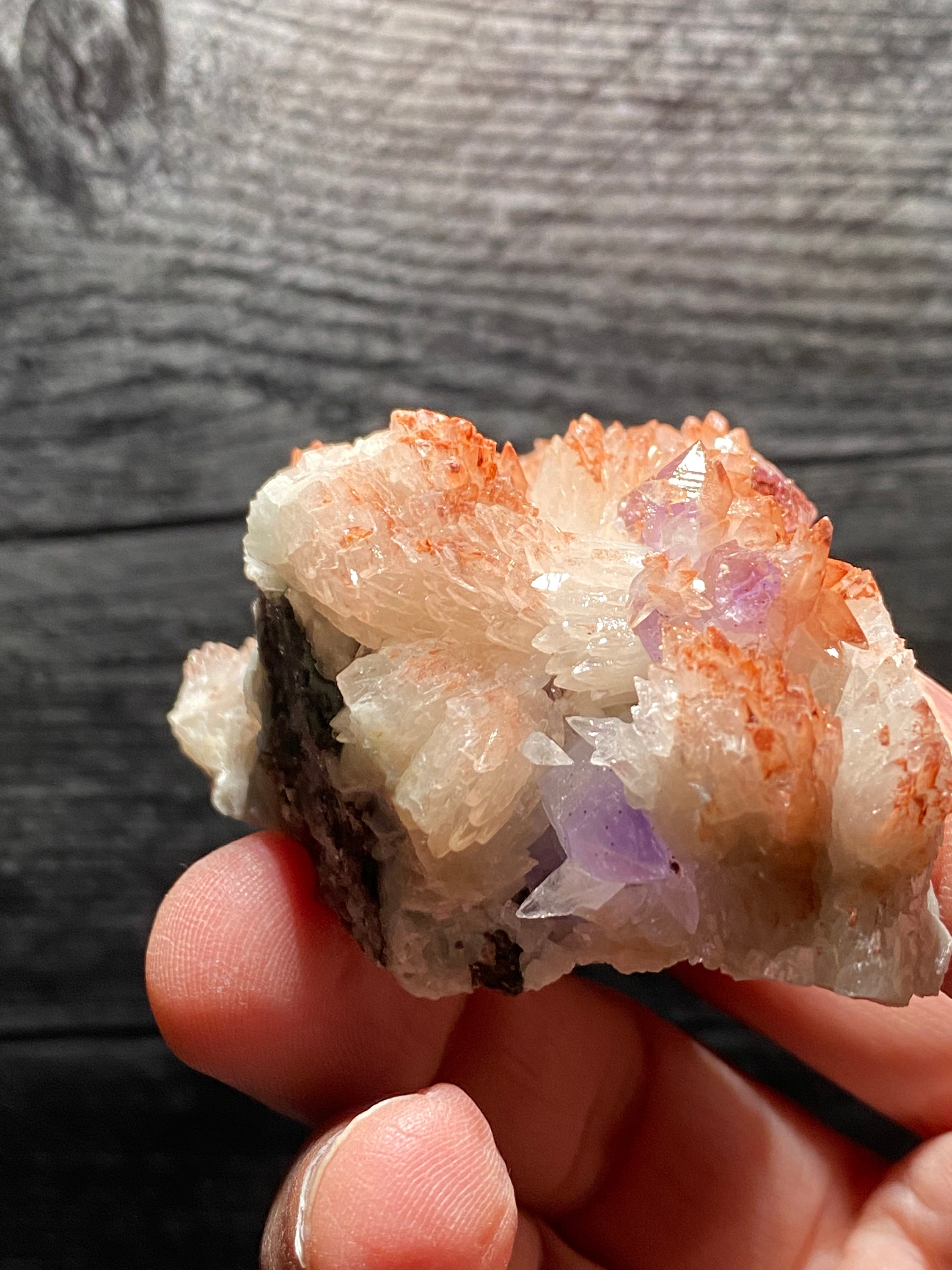 RARE Red Sugar Dragon Scale Calcite Crystal Clusters With | Etsy