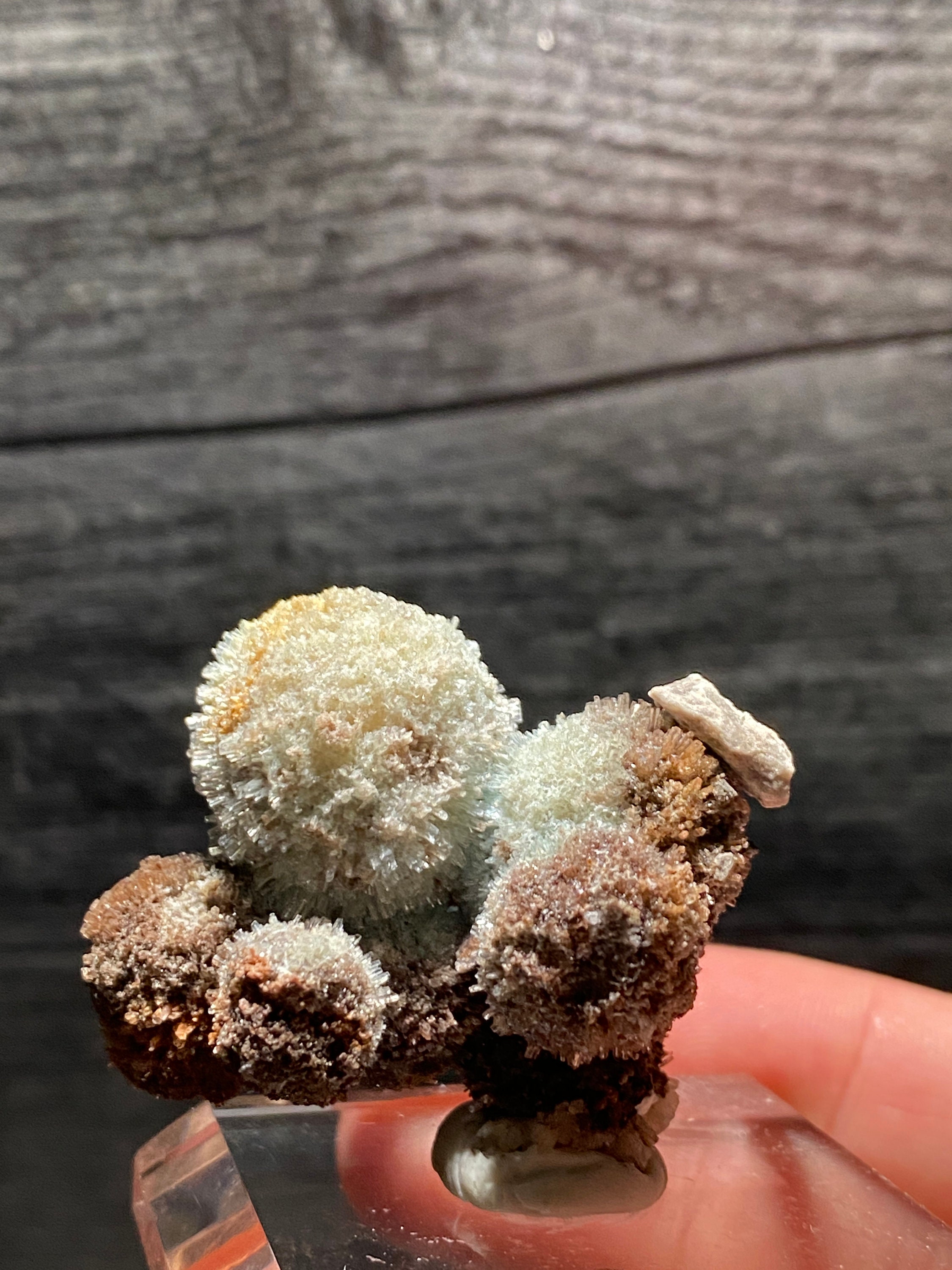 Tan Botryoidal Creedite Crystal Cluster, Guizhou China - Etsy