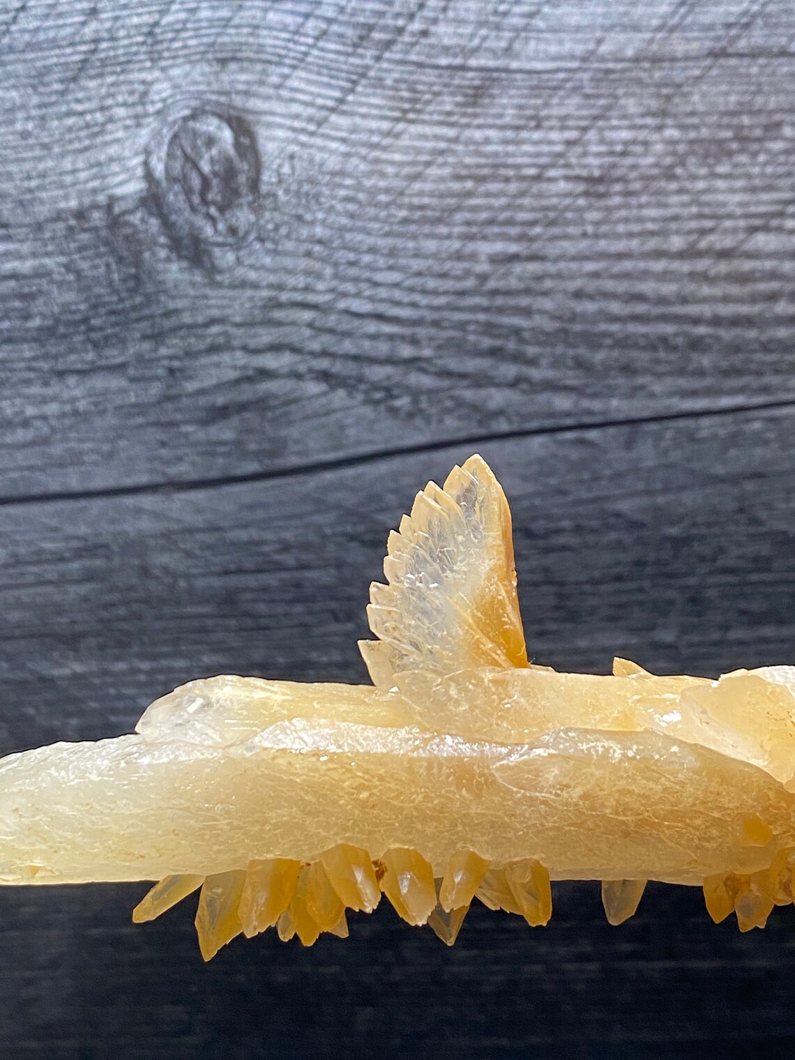 EPIC Stunning Calcite the Wing Dogtooth Feather | Etsy