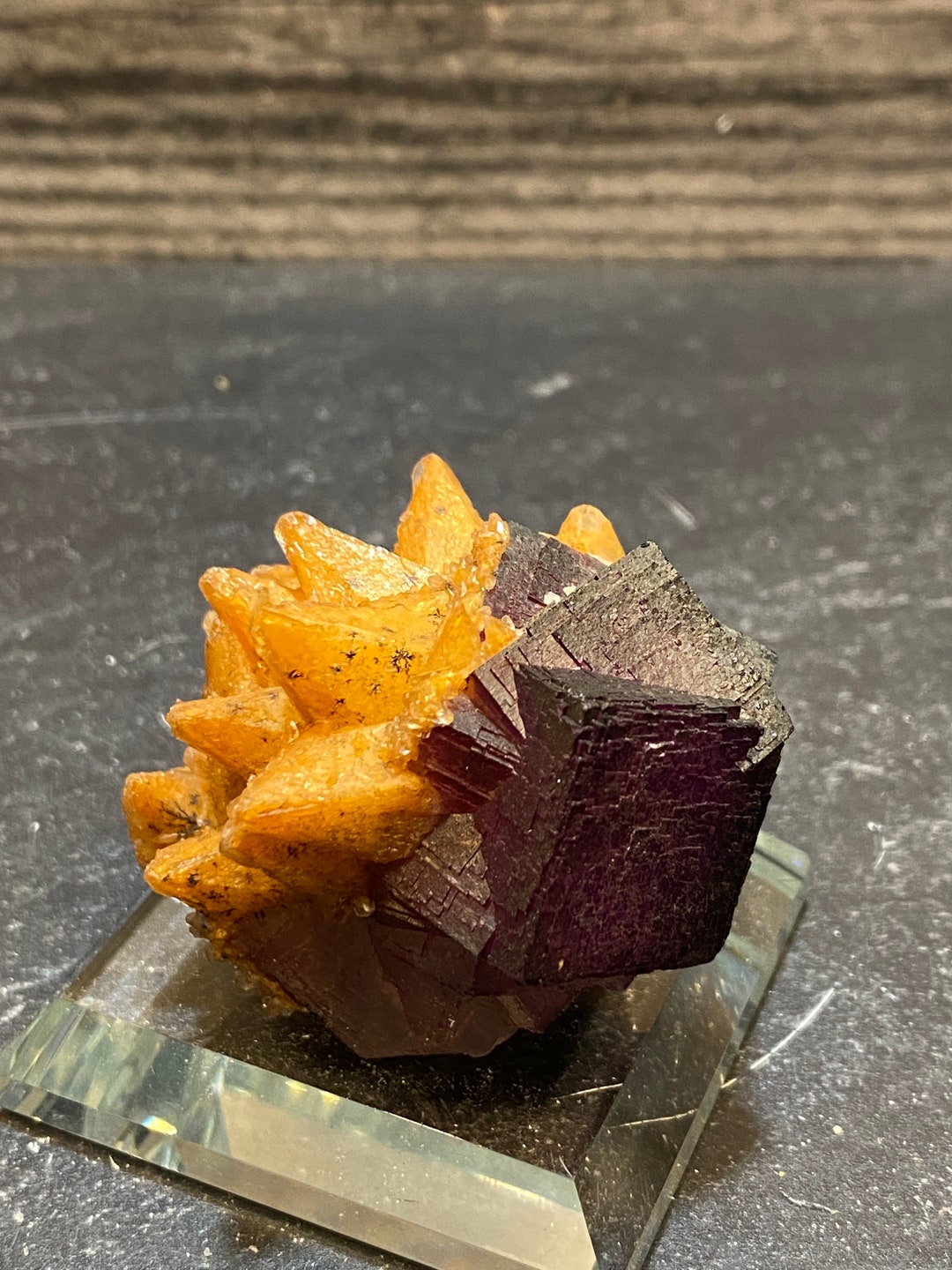 Orange Dogtooth Calcite Crystals Clusters on Dark Stepped Purple ...