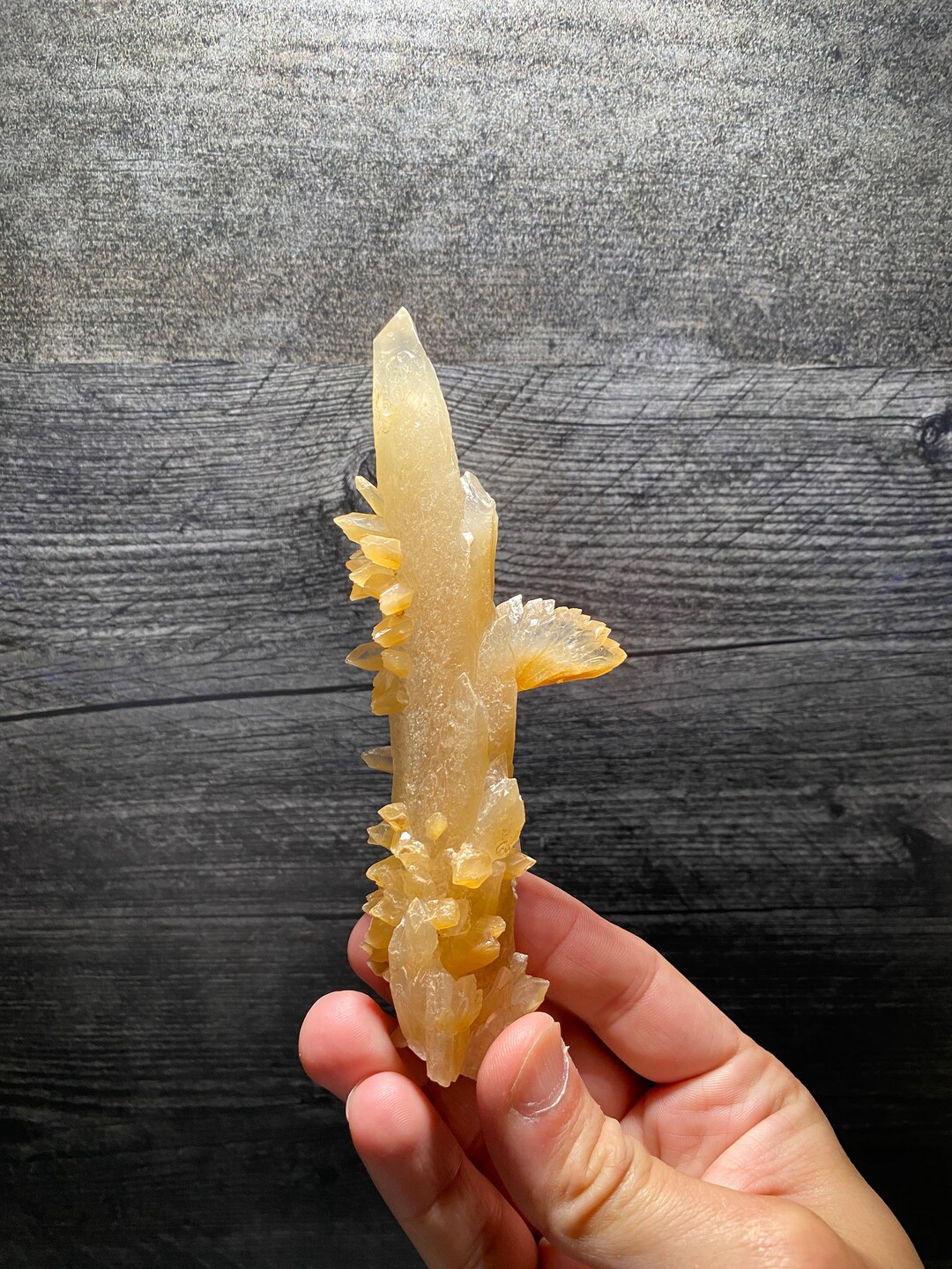 EPIC Stunning Calcite "the Wing" Dogtooth Feather Like Orange Yellow ...
