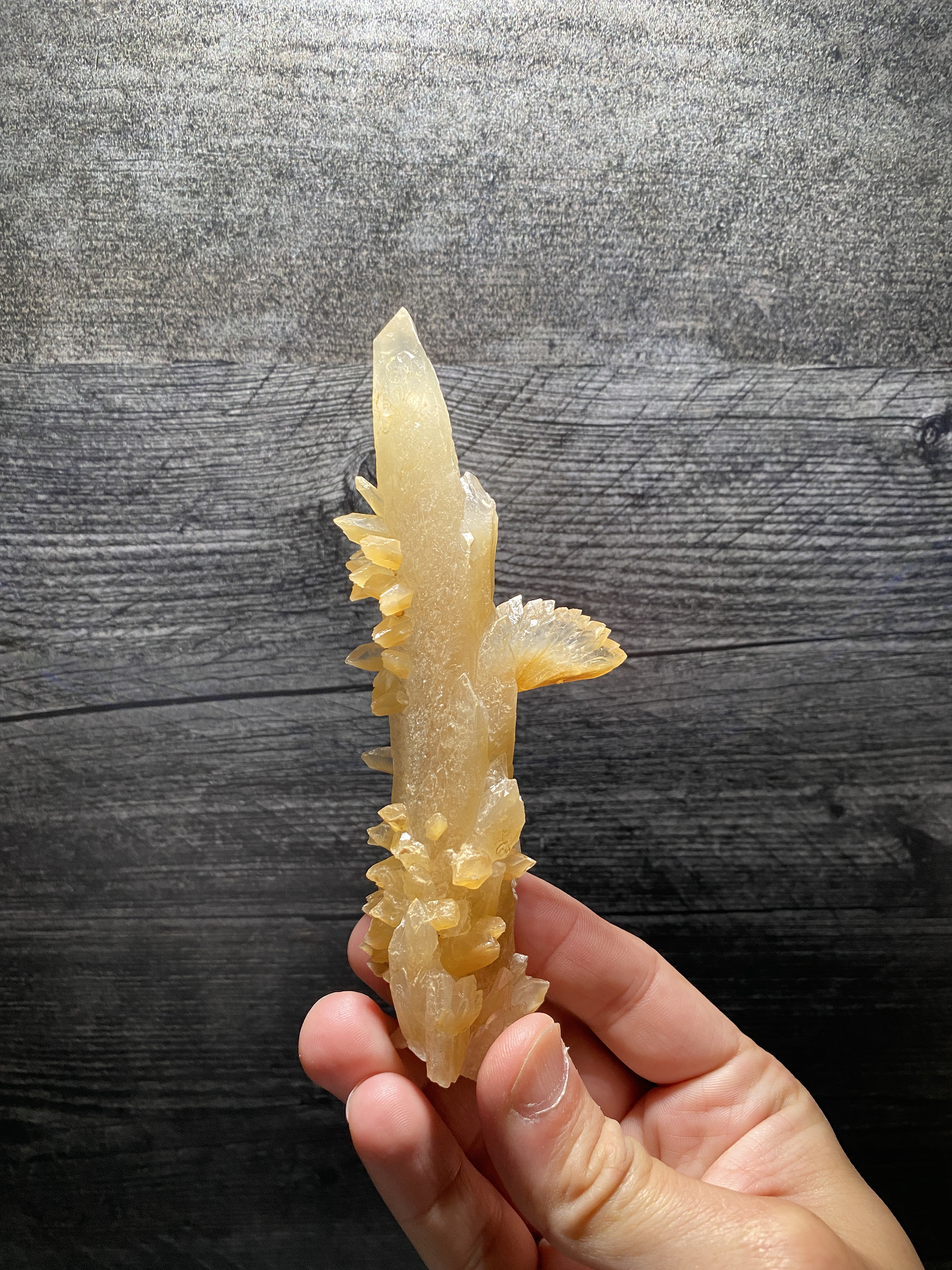 EPIC Stunning Calcite the Wing Dogtooth Feather | Etsy