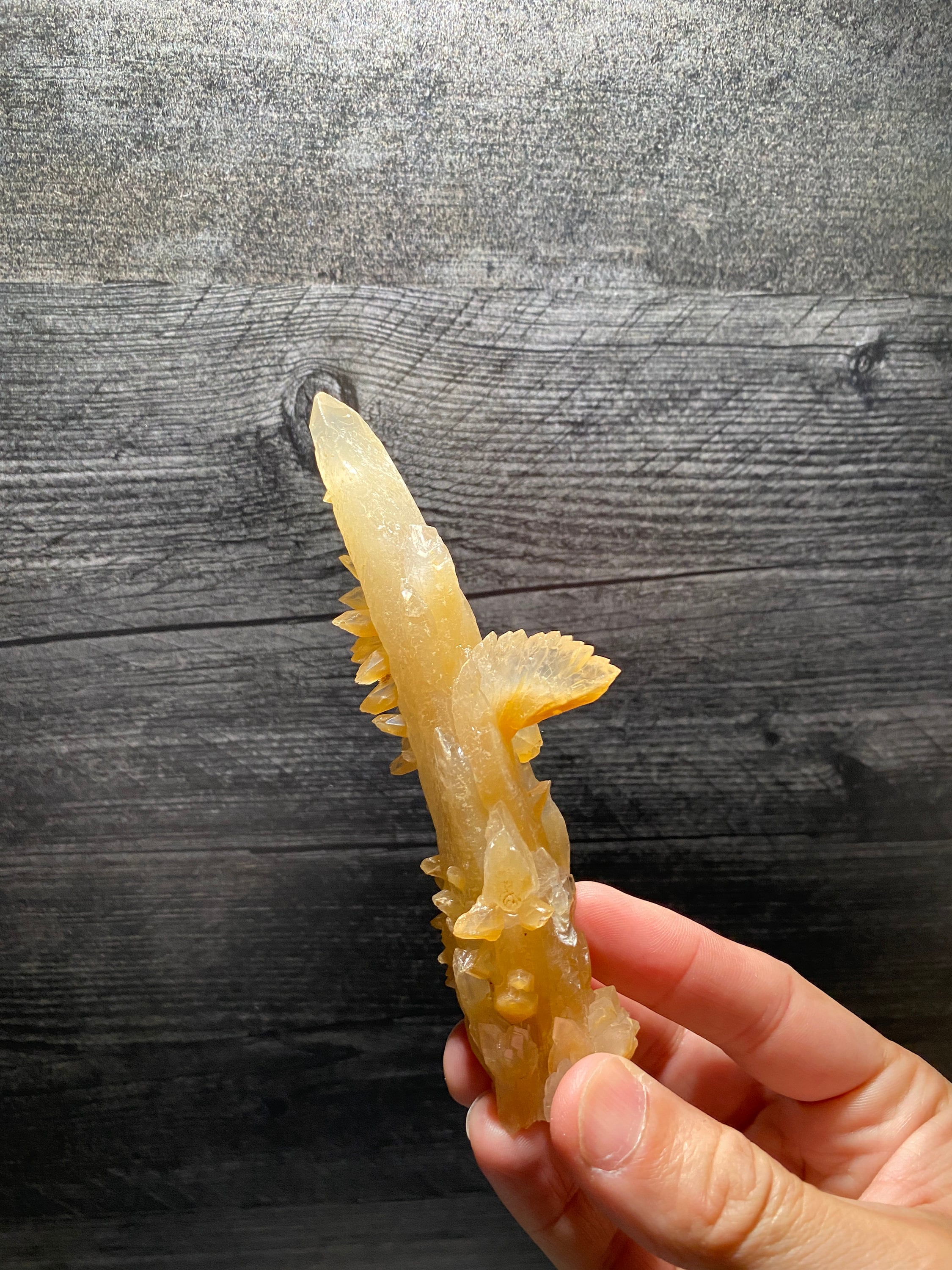 EPIC Stunning Calcite the Wing Dogtooth Feather | Etsy