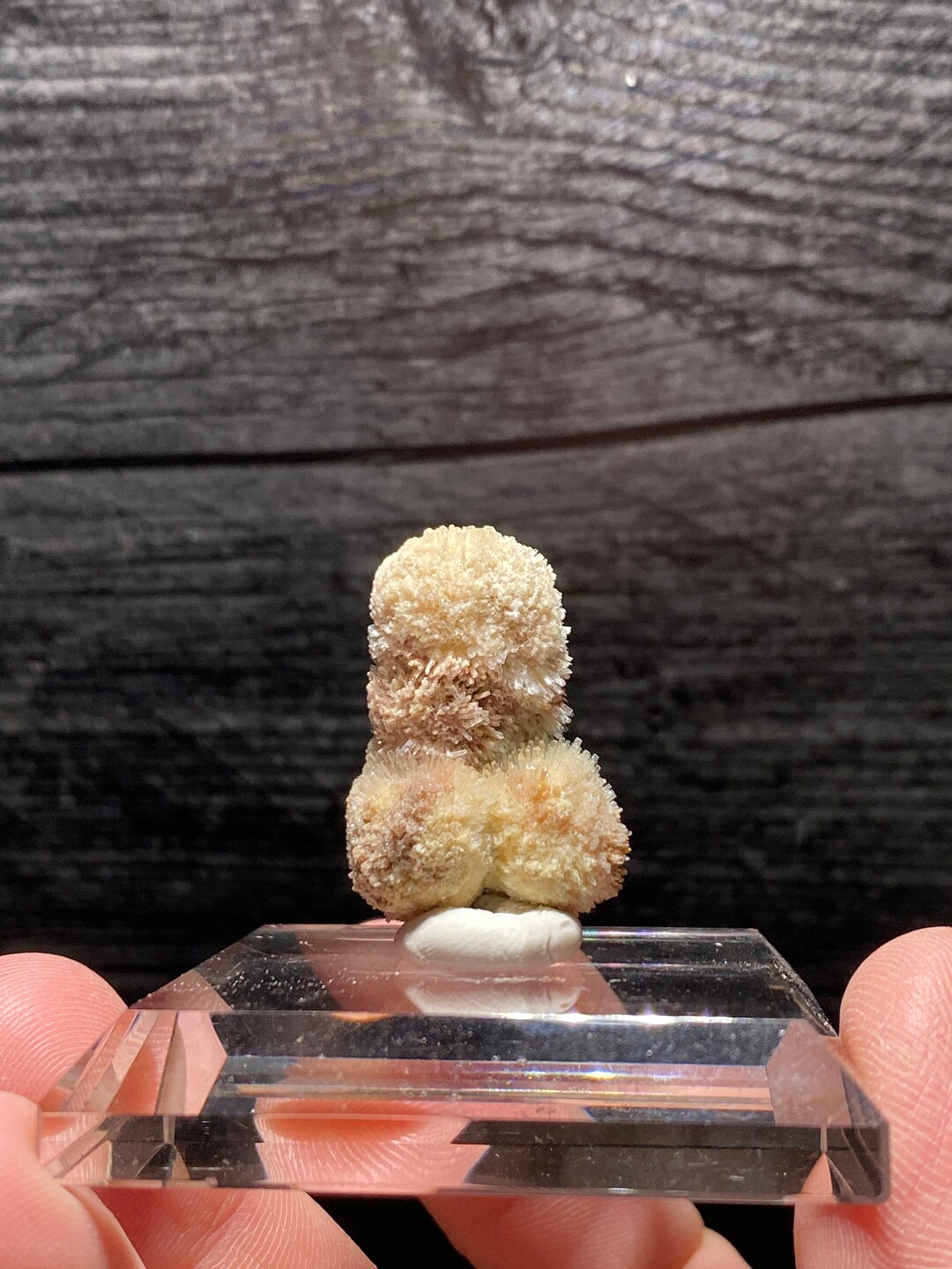 Brown Botryoidal Creedite Crystals on Matrix With Acicular Crystal ...