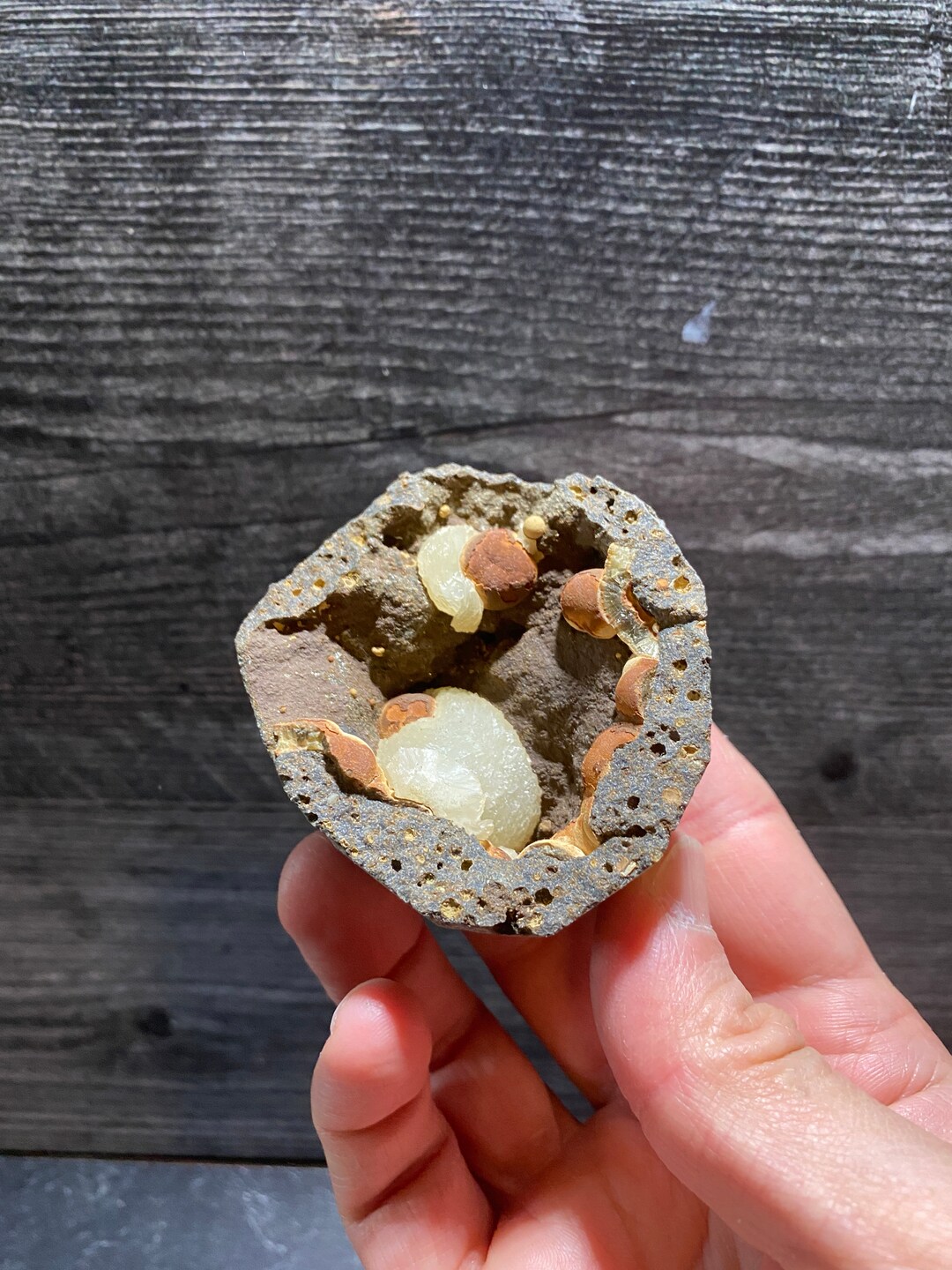 Botryoidal Calcite Mineral Specimen – Orange Yellow Brown Crystals - Etsy