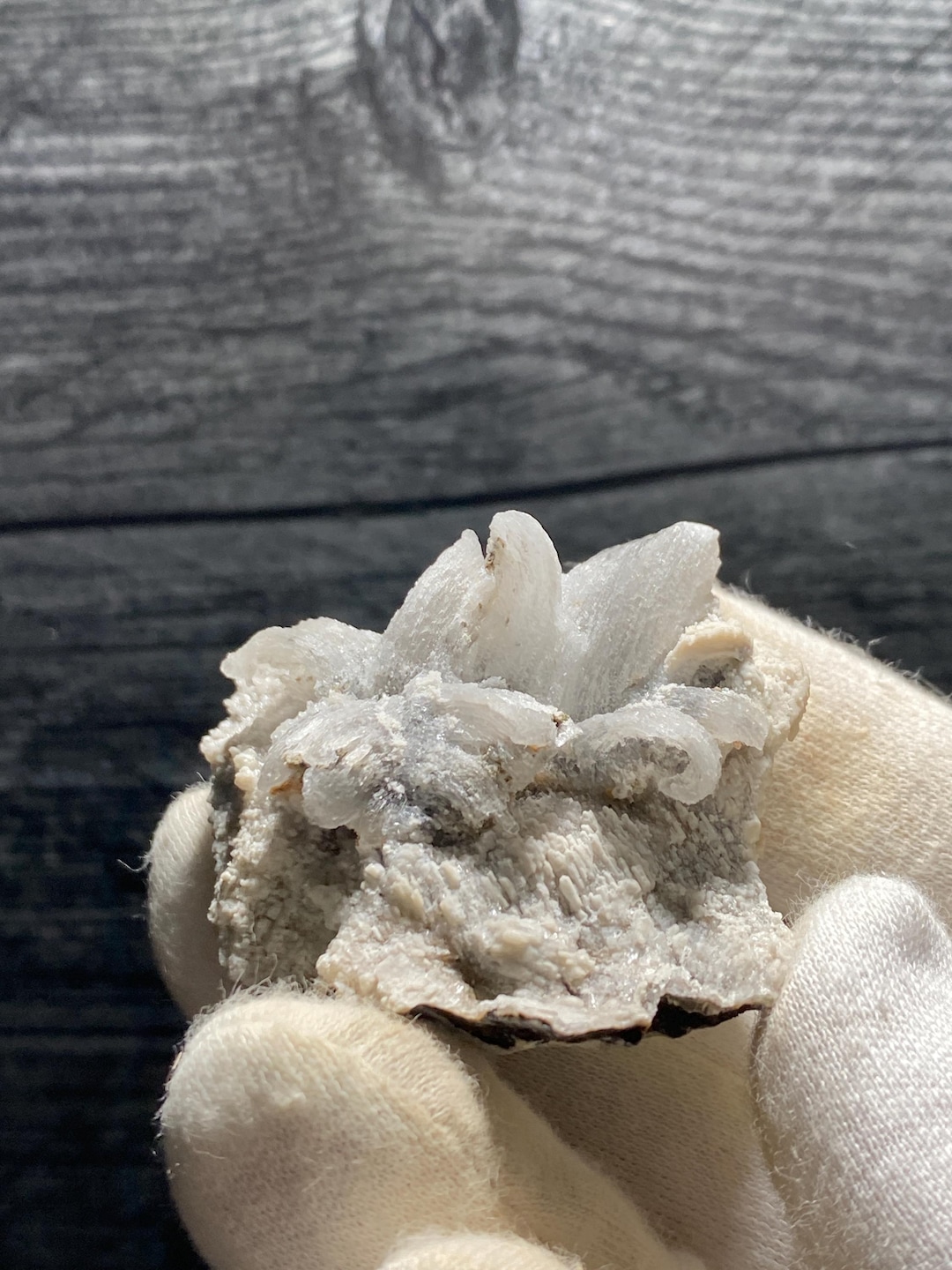 White Grey & Black Gypsum Var Selenite Fibrous Rams Horn Crystals Mineral Specimen From Guizhou ...