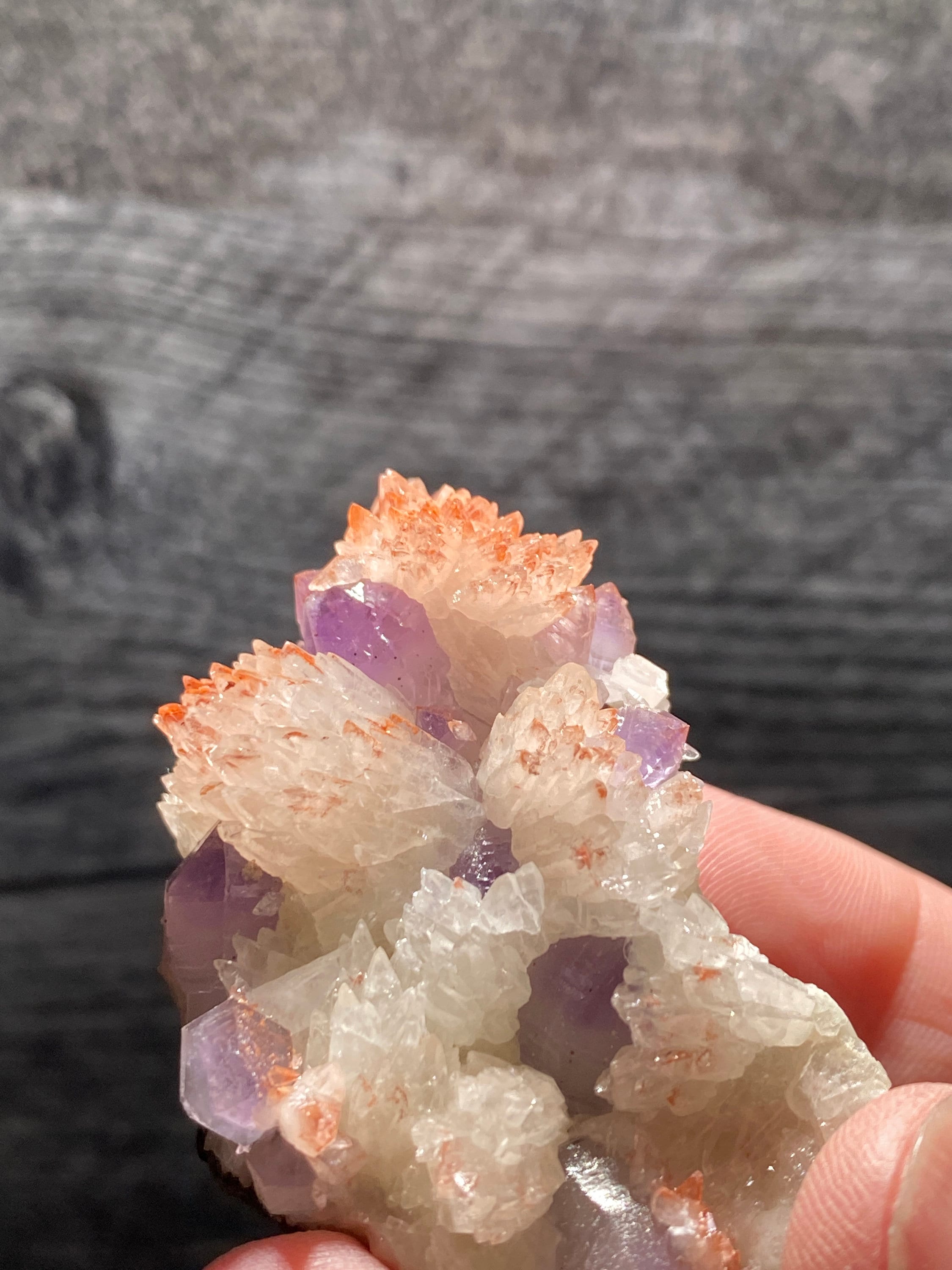 RARE Red Sugar Dragon Scale Calcite Crystal Clusters With | Etsy