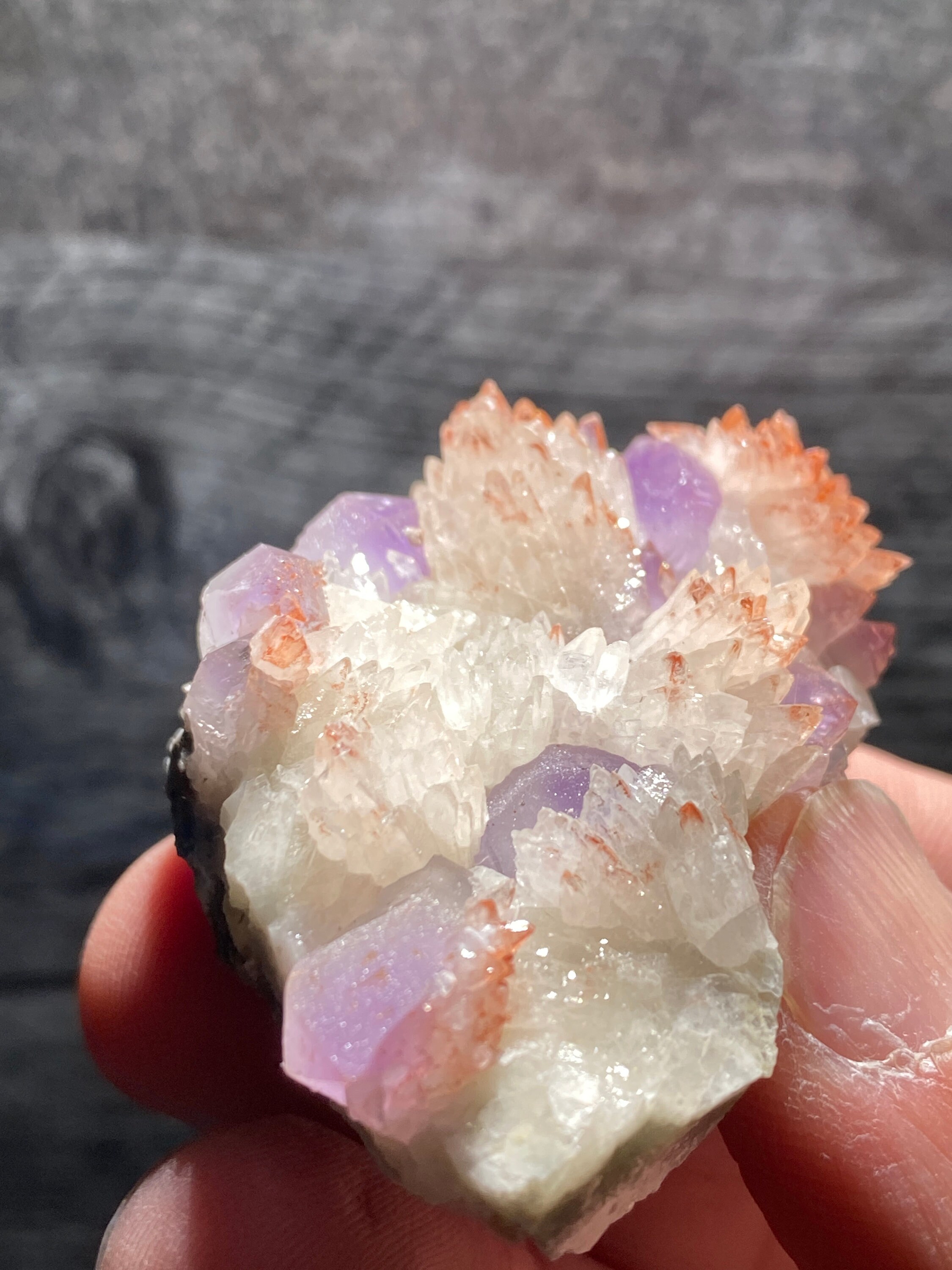 RARE Red Sugar Dragon Scale Calcite Crystal Clusters With | Etsy