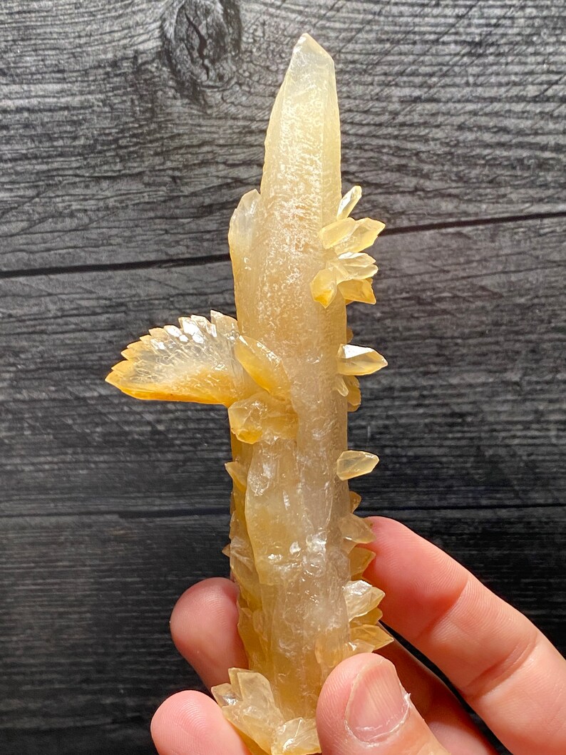 EPIC Stunning Calcite the Wing Dogtooth Feather | Etsy
