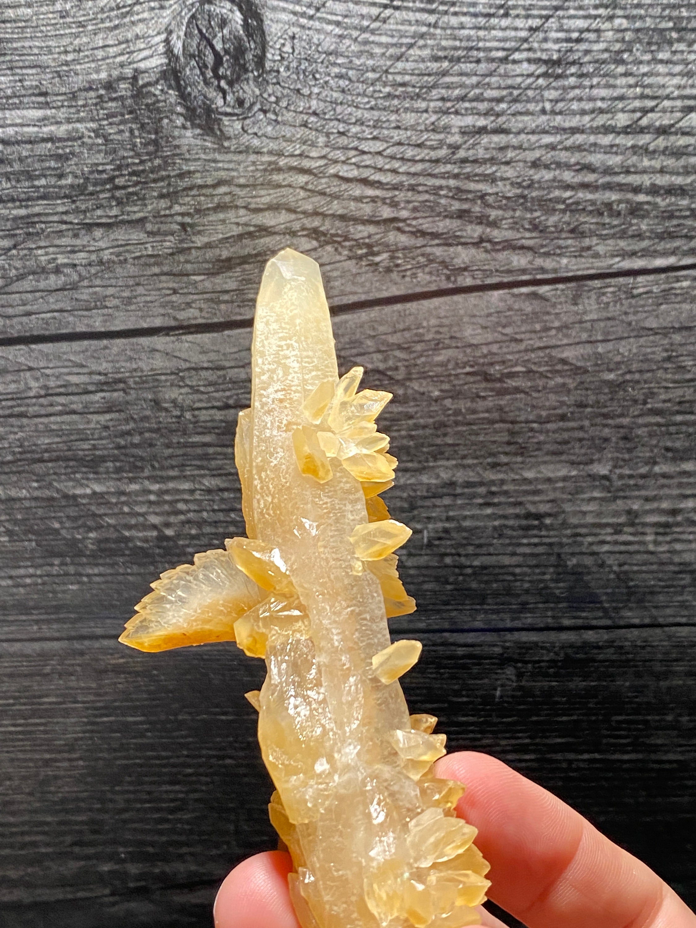 EPIC Stunning Calcite the Wing Dogtooth Feather | Etsy