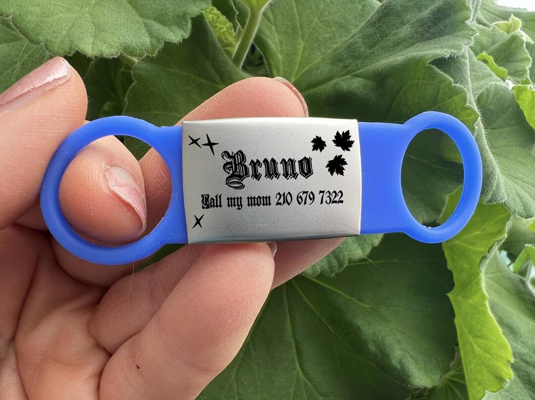 Personalized Dog Name Tag Slide on Dog Tag Silent Dog Tag Washable Dog ...