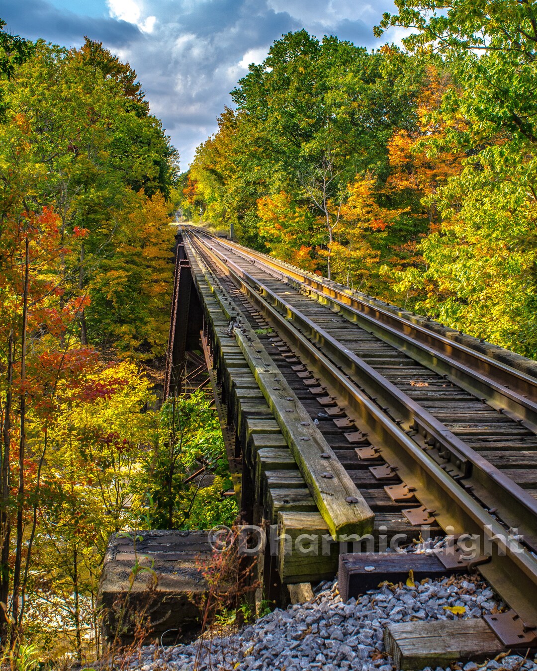 Autumn Train Bridge Fine Art Photographic Print - Etsy