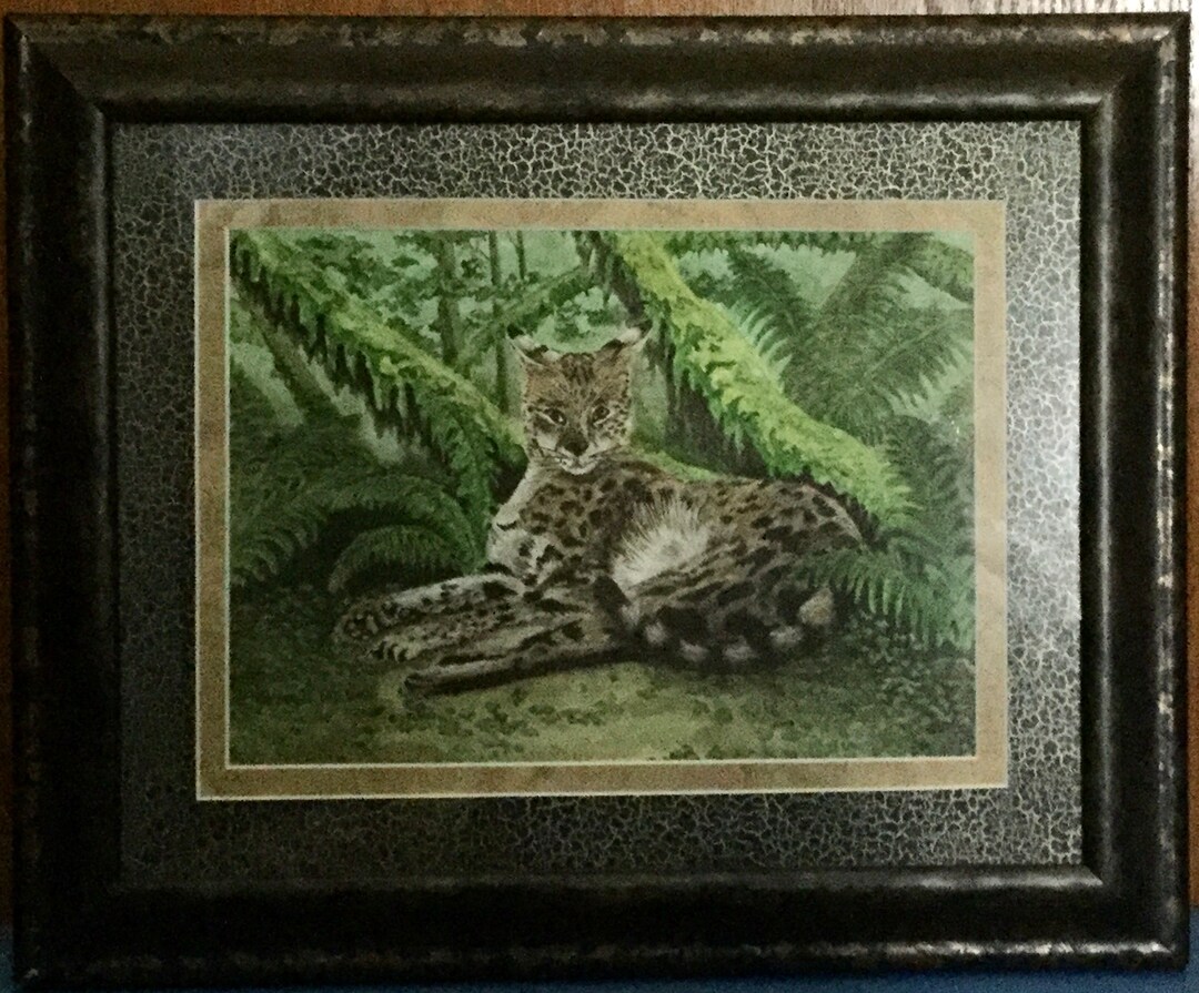 Mixed Media Bobcat Painting - Etsy