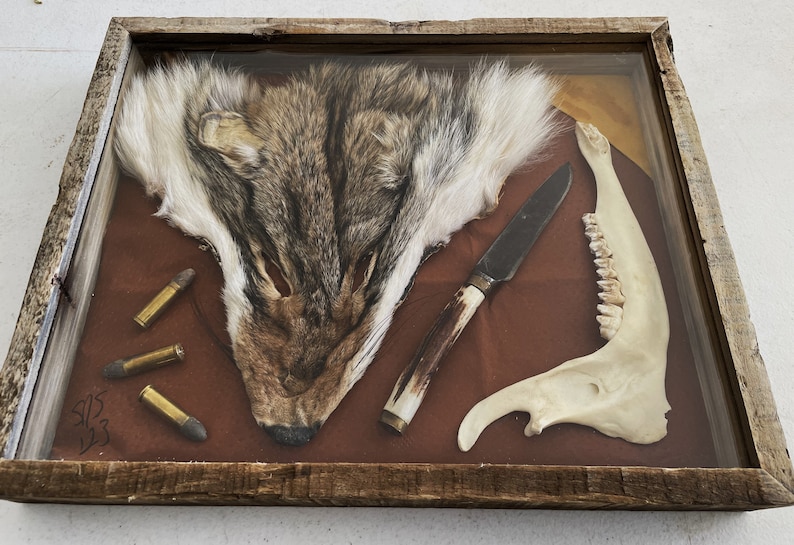 To Catch a Predator - Old West Shadow Box - Etsy