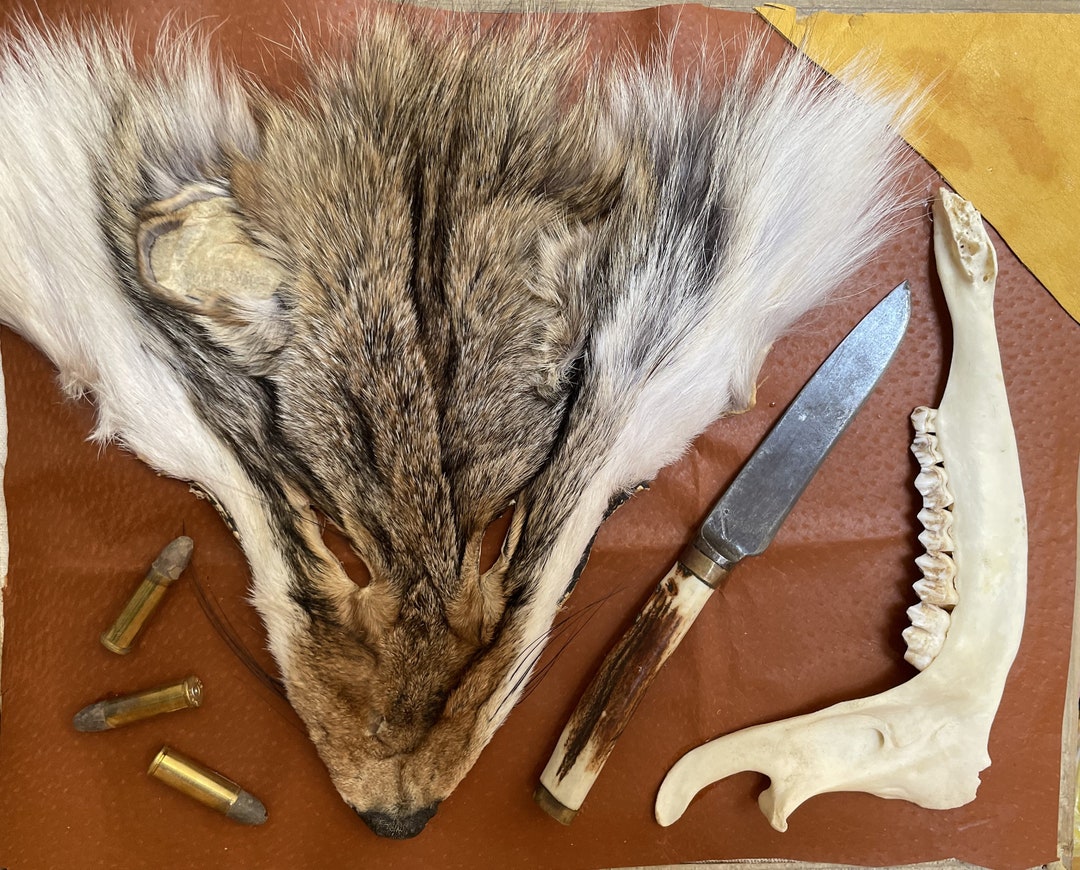 To Catch a Predator - Old West Shadow Box - Etsy