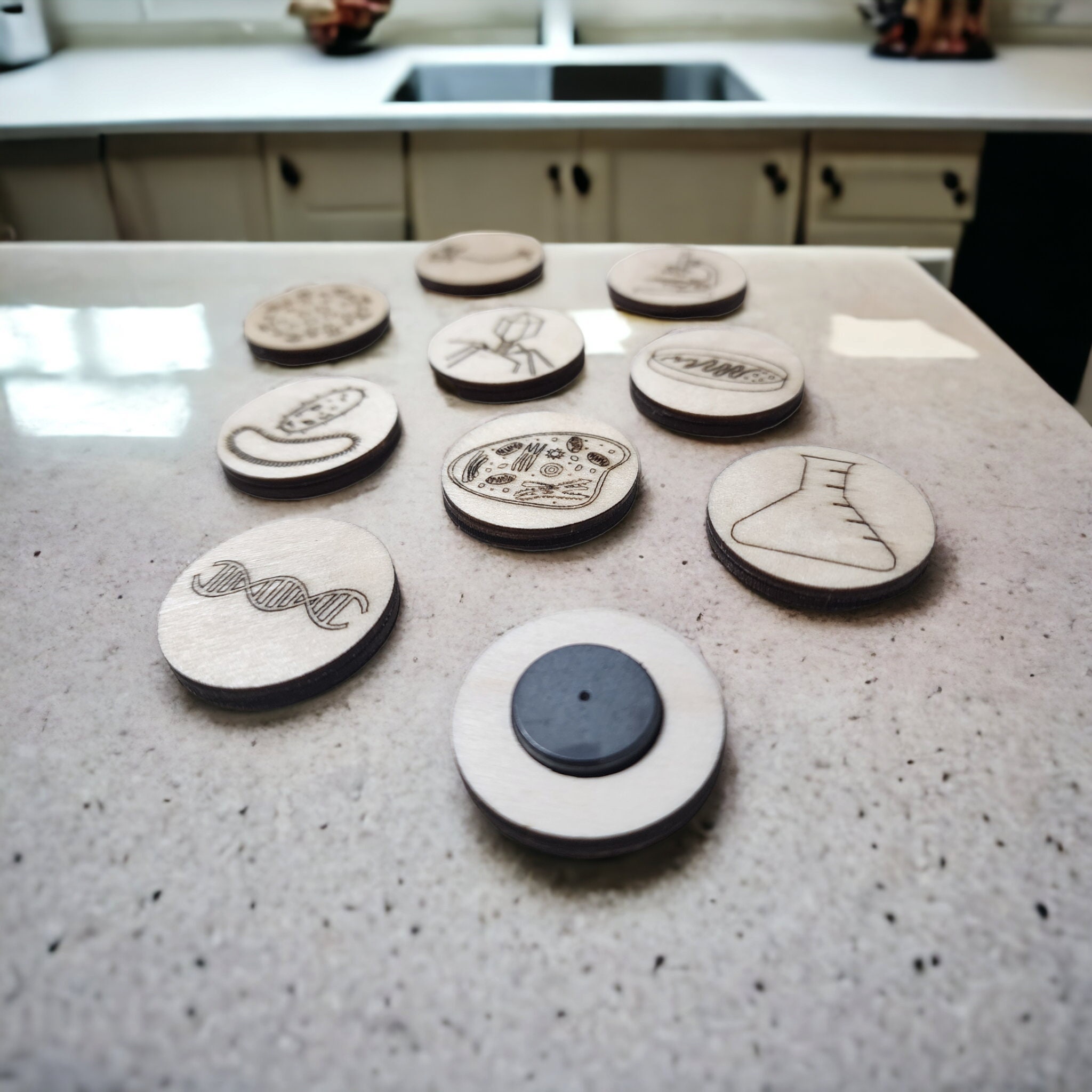 10 Biology 1.25 Wooden Fridge Magnets for Gift, Refrigerator Magnets ...