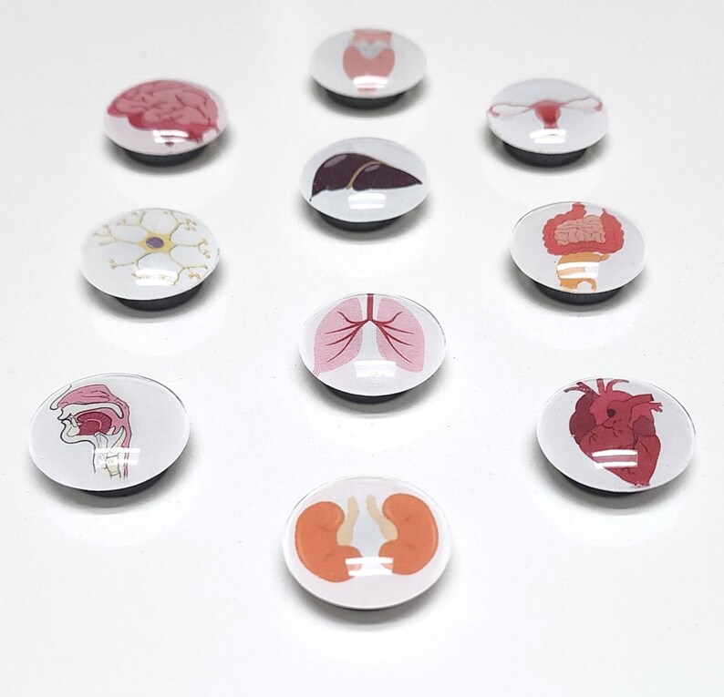 10 Internal Medicine Doctor 1" Glass Fridge Magnets, Refrigerator ...