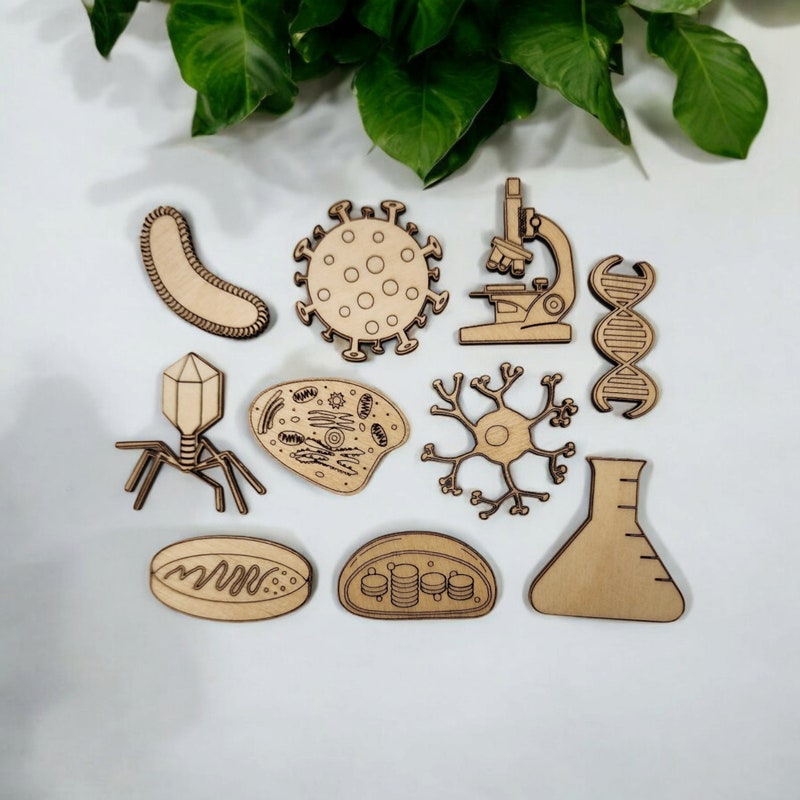 Wood Etch Magnet - Etsy